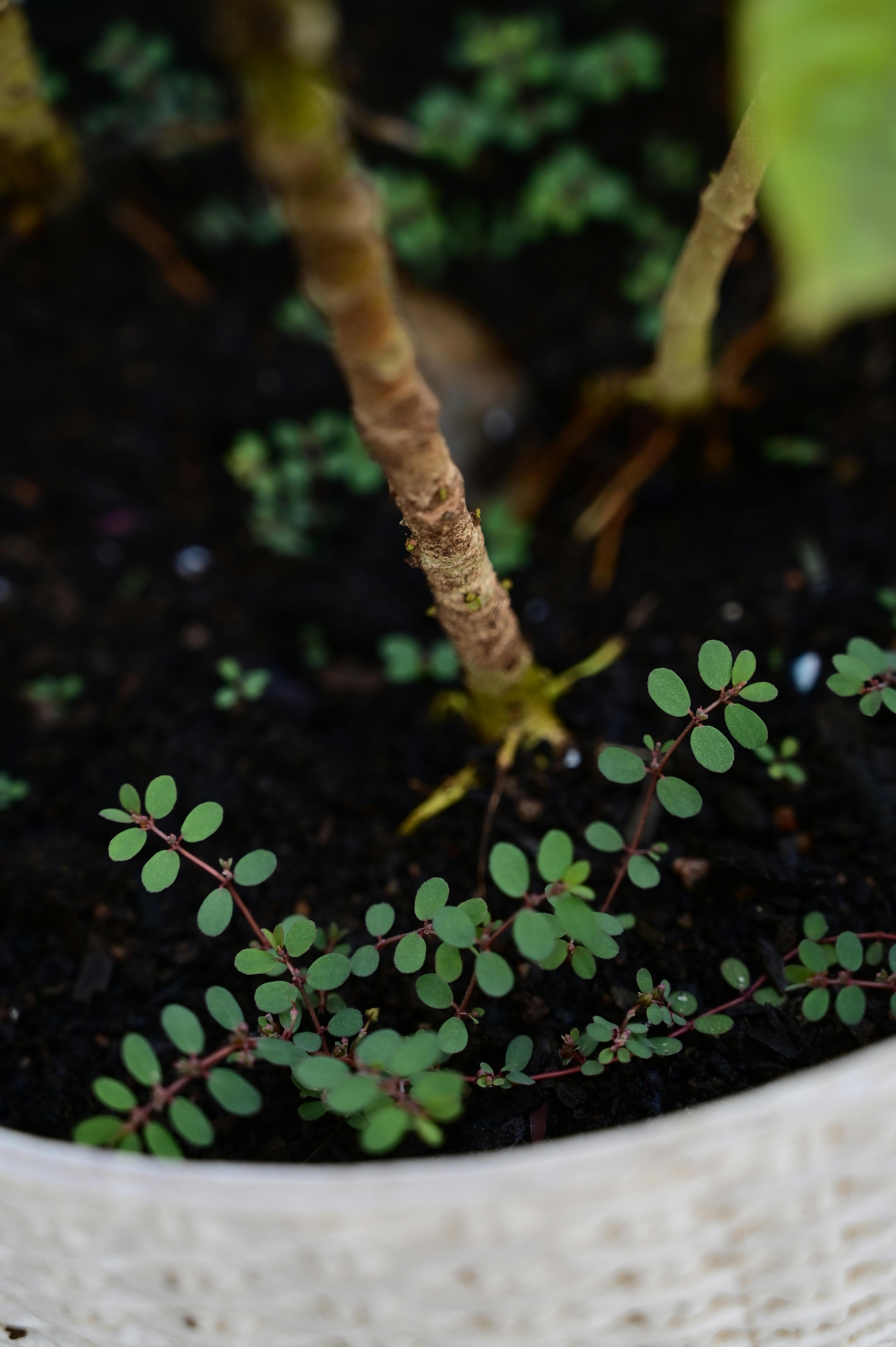 Durga prasad muddana - Photography