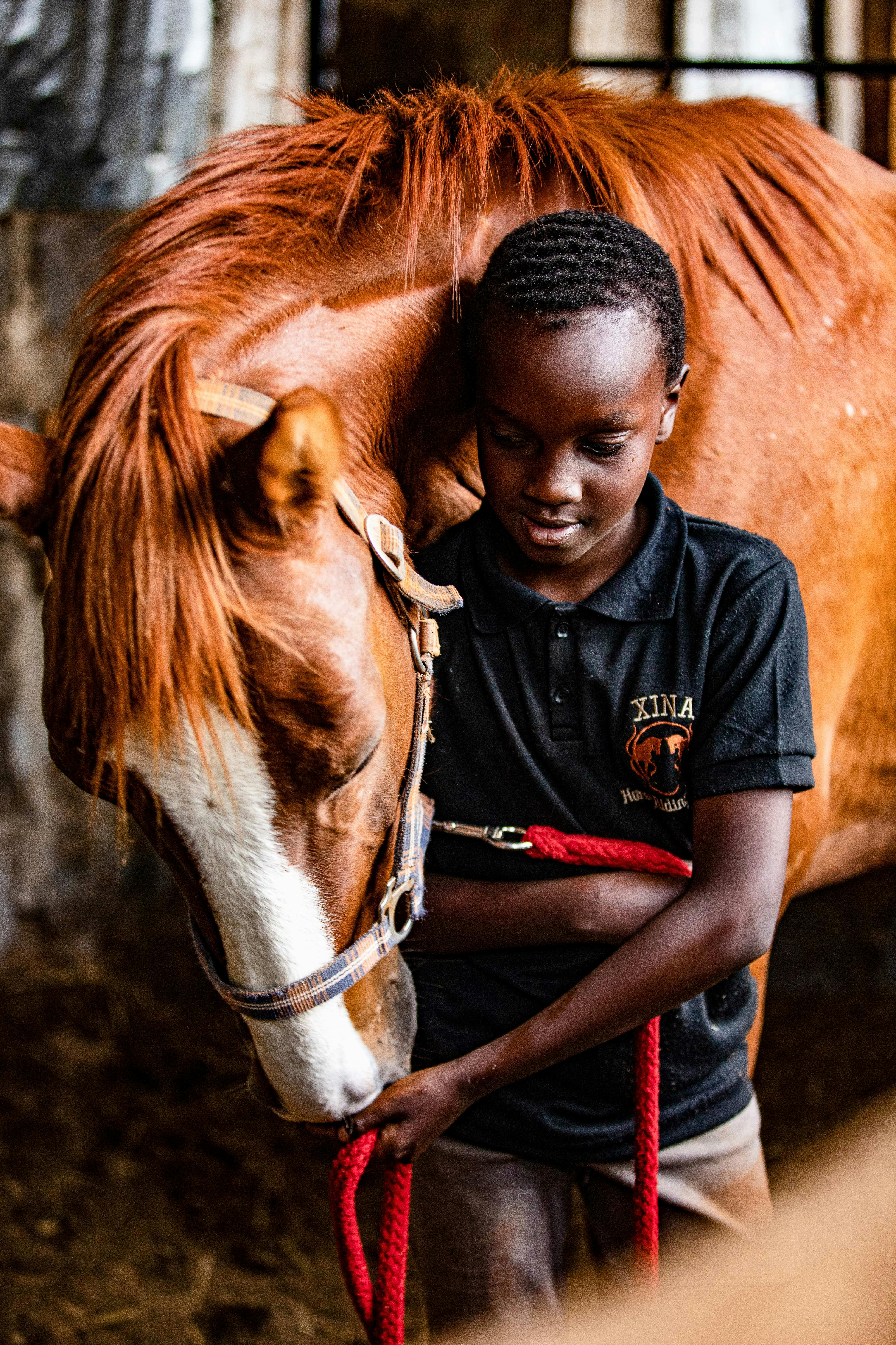 A Man Holding a Horse · Free Stock Photo