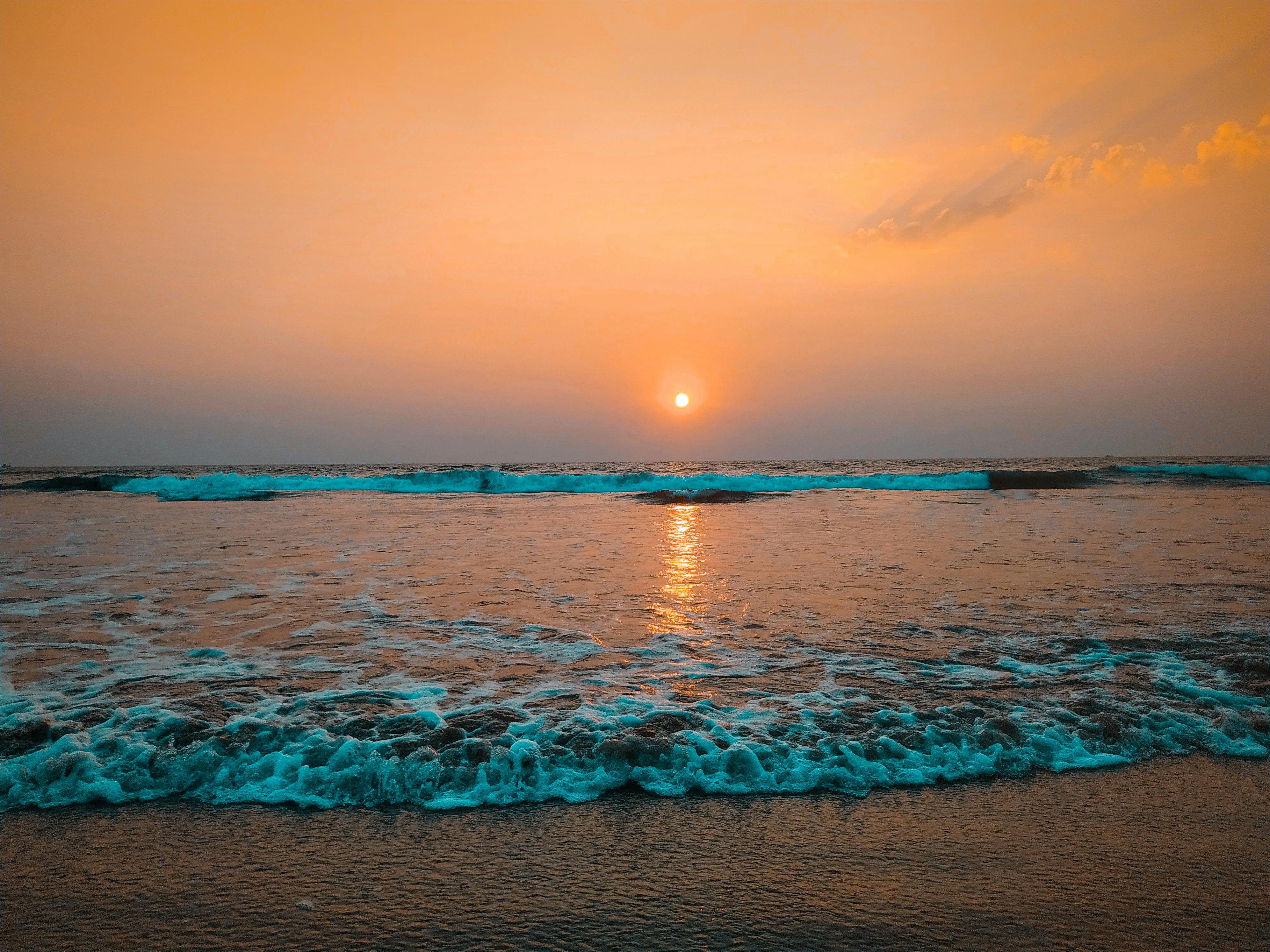 Naitik Dodiya - 사진