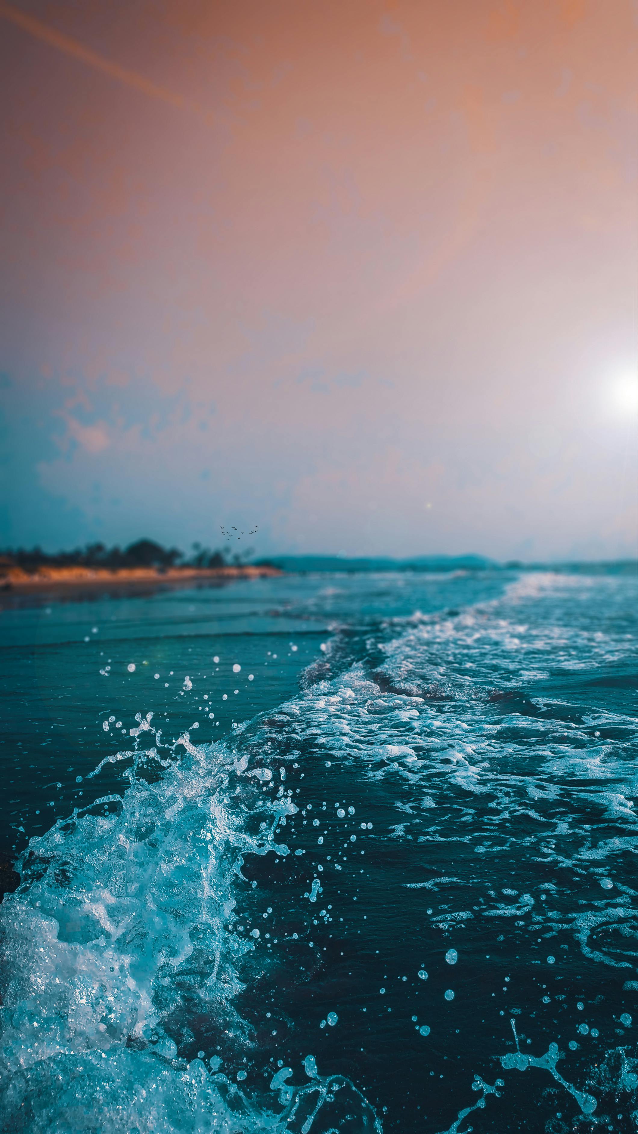 Naitik Dodiya - 사진