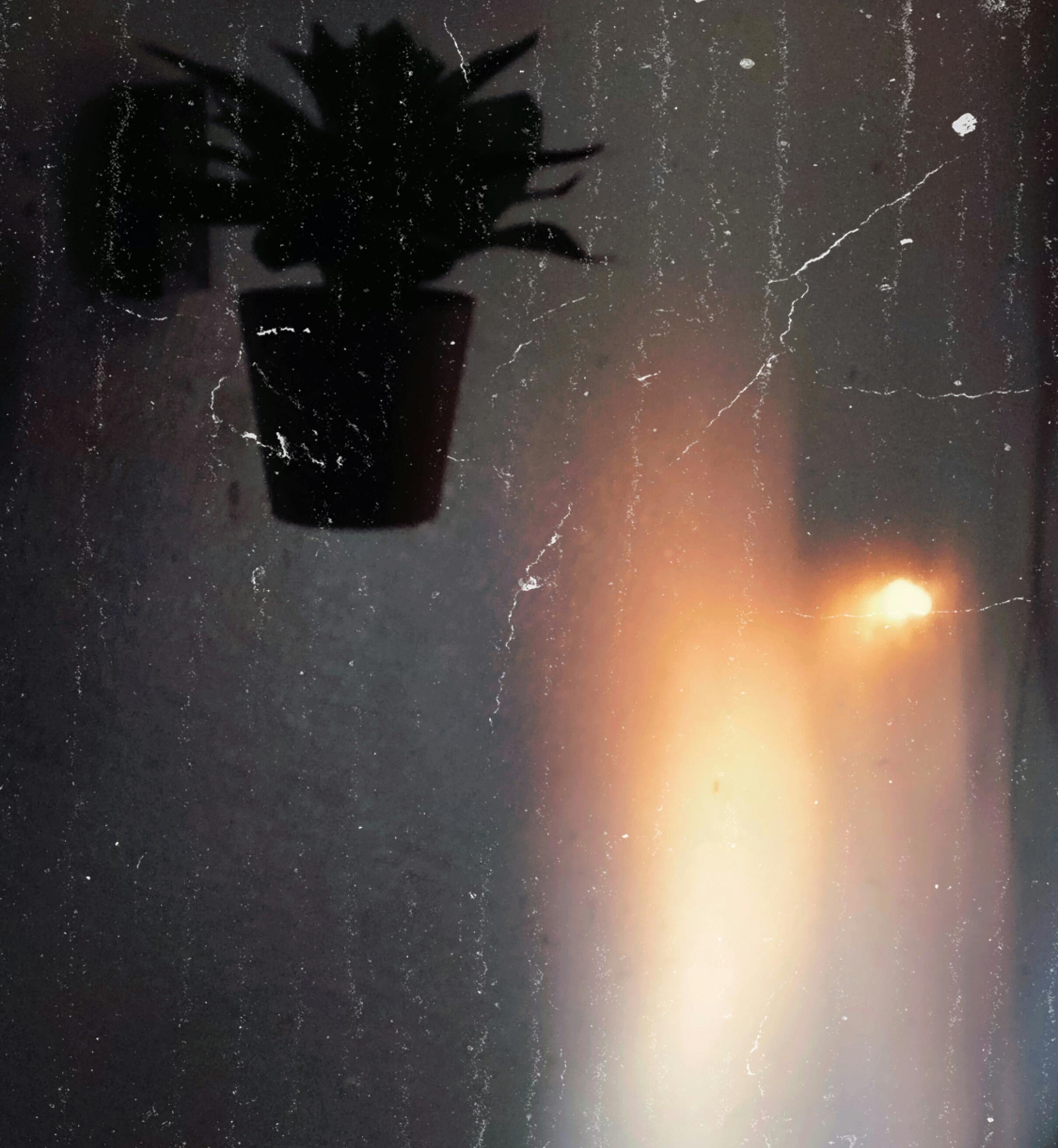 Jaasiel Gonzalez - Photography