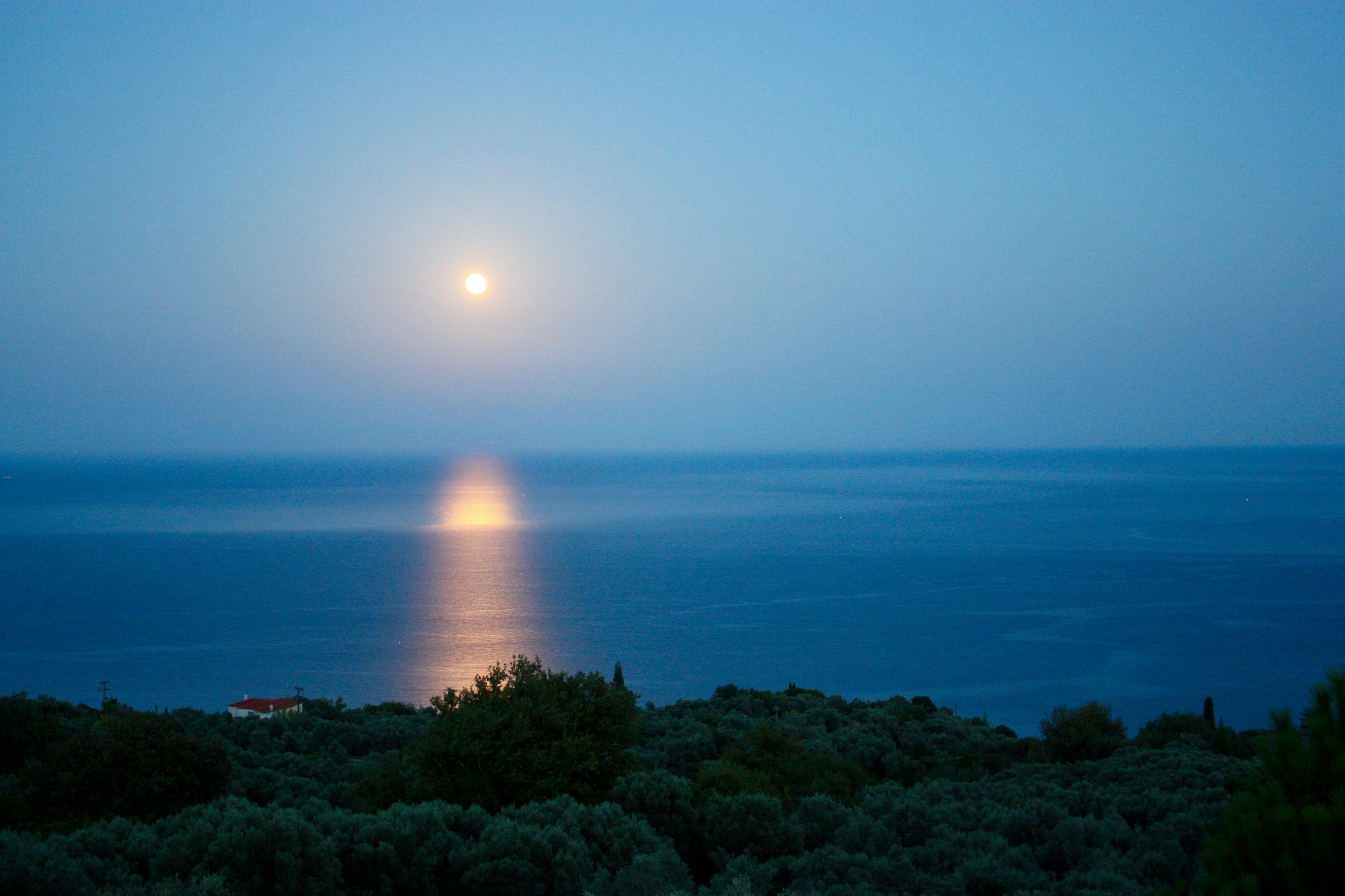 Ellas Photos, Download The BEST Free Ellas Stock Photos & HD Images