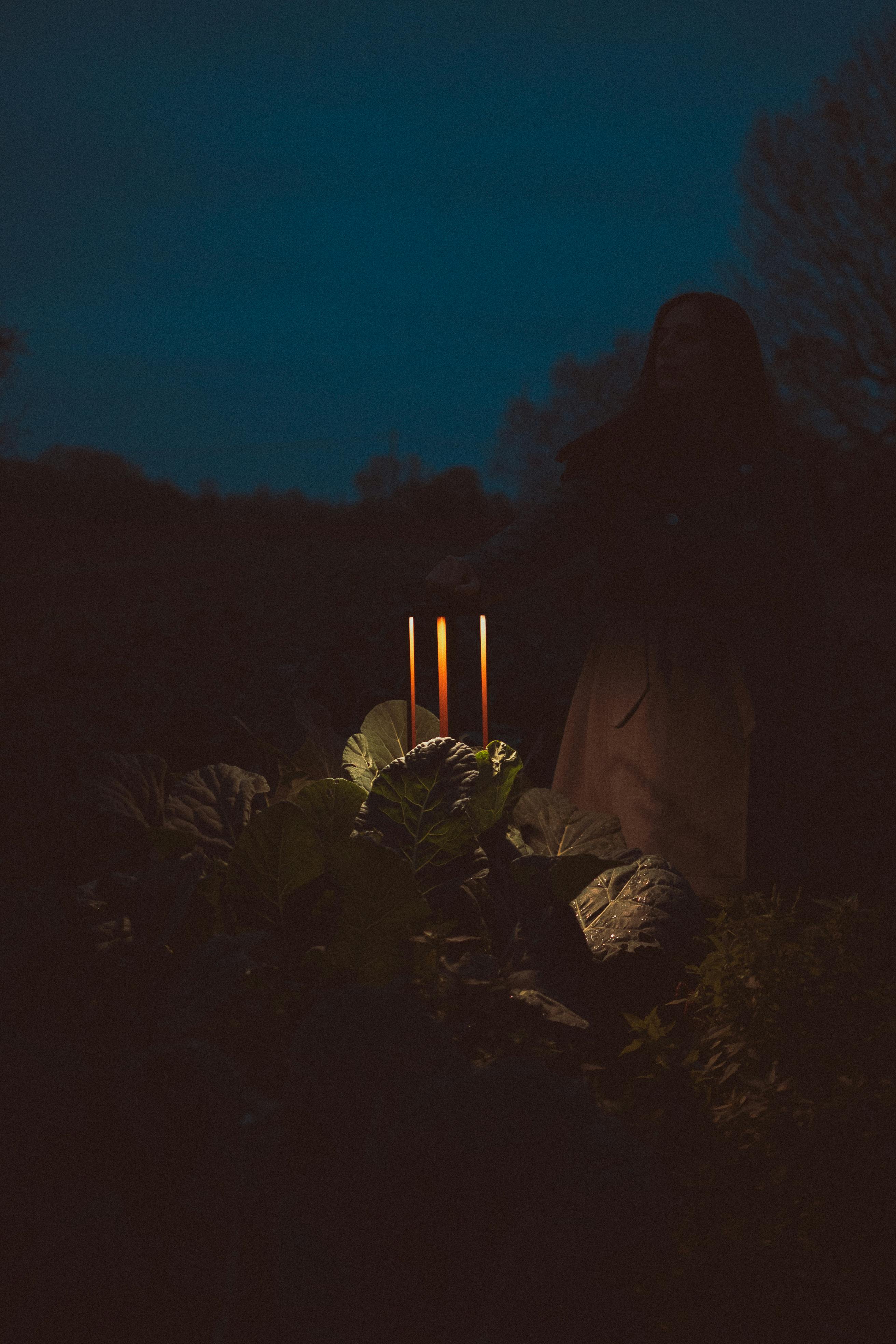 People Standing in Front of a Lit Signage · Free Stock Photo