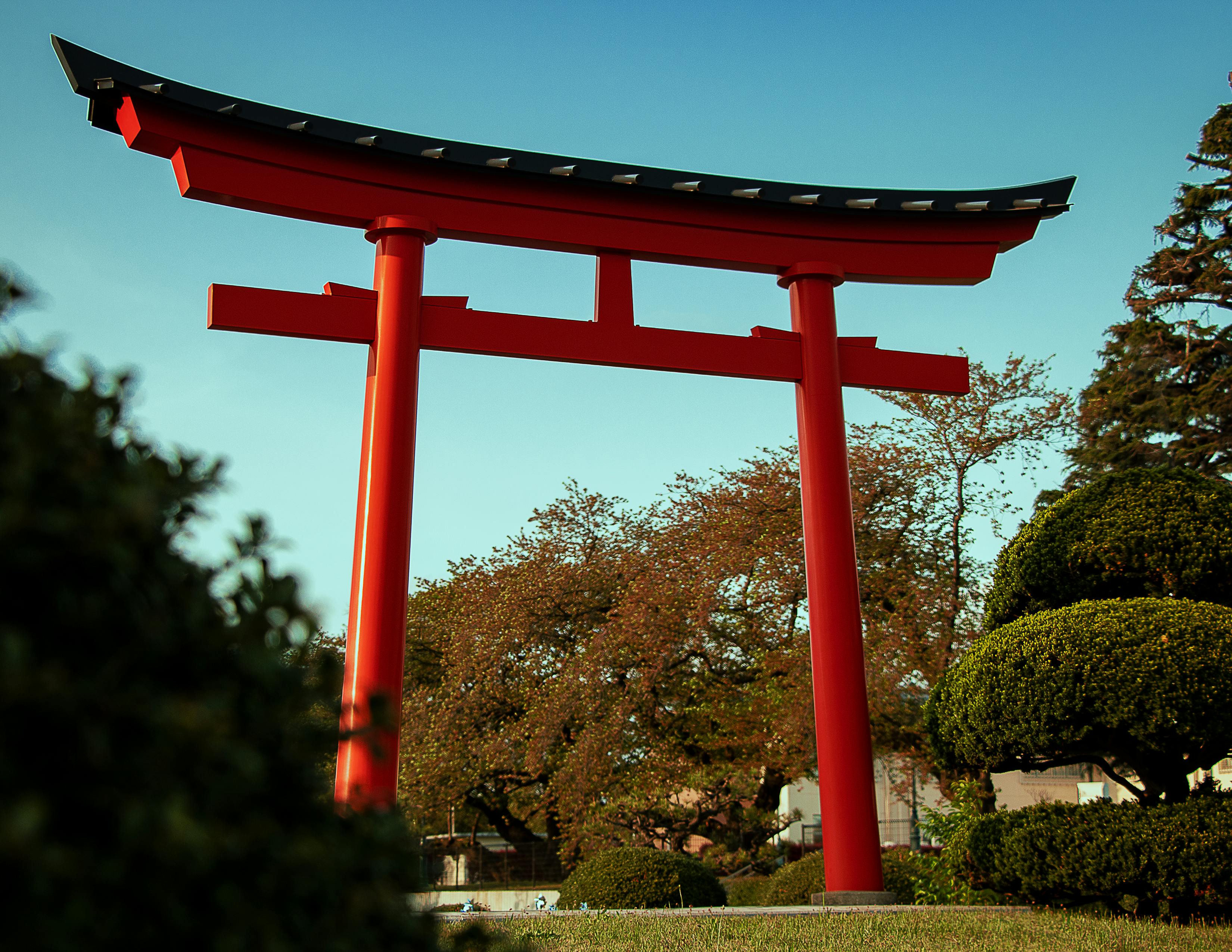 Low Angle View of a Torii Gate and Trees · Free Stock Photo