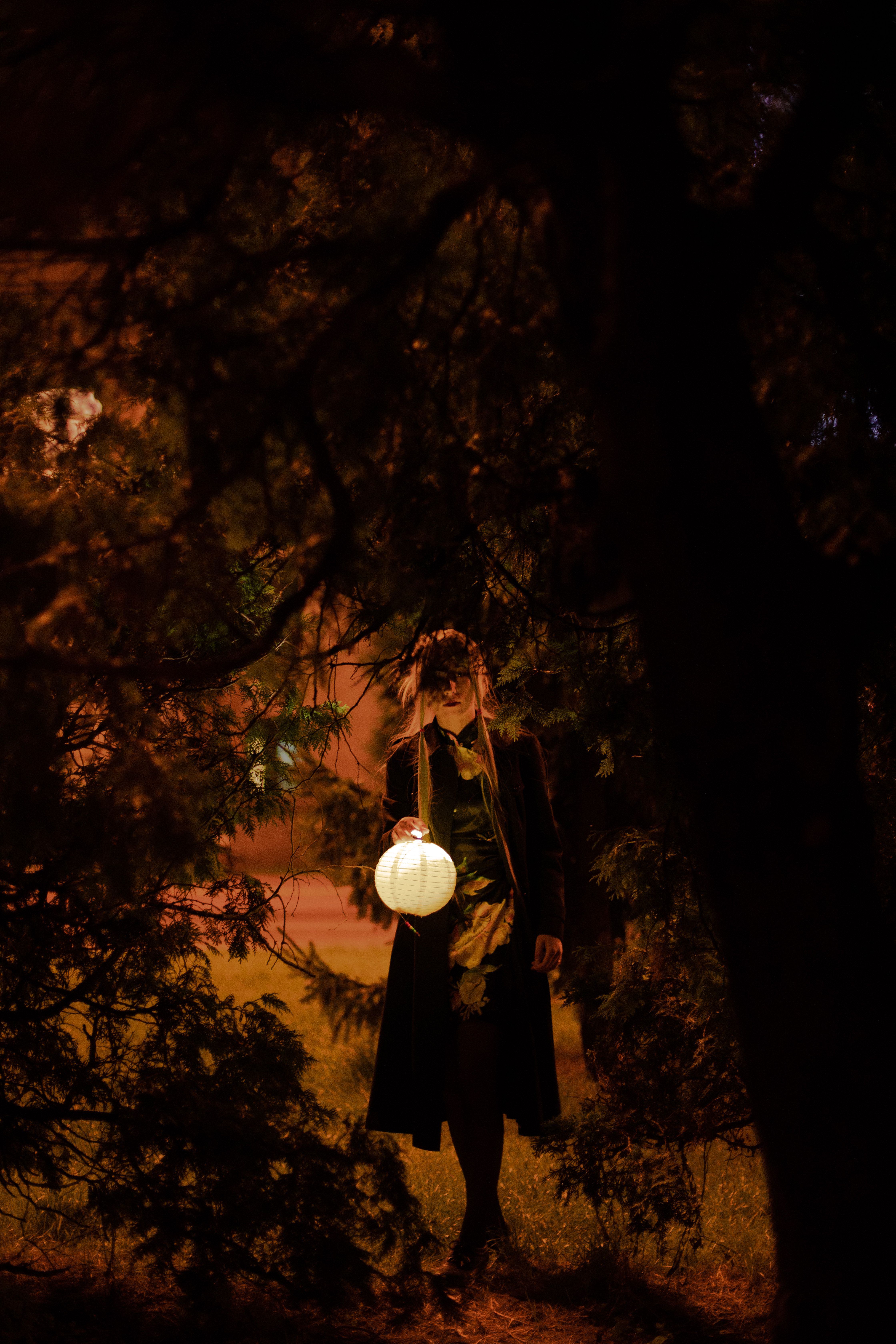 A Woman Holding a Lamp · Free Stock Photo