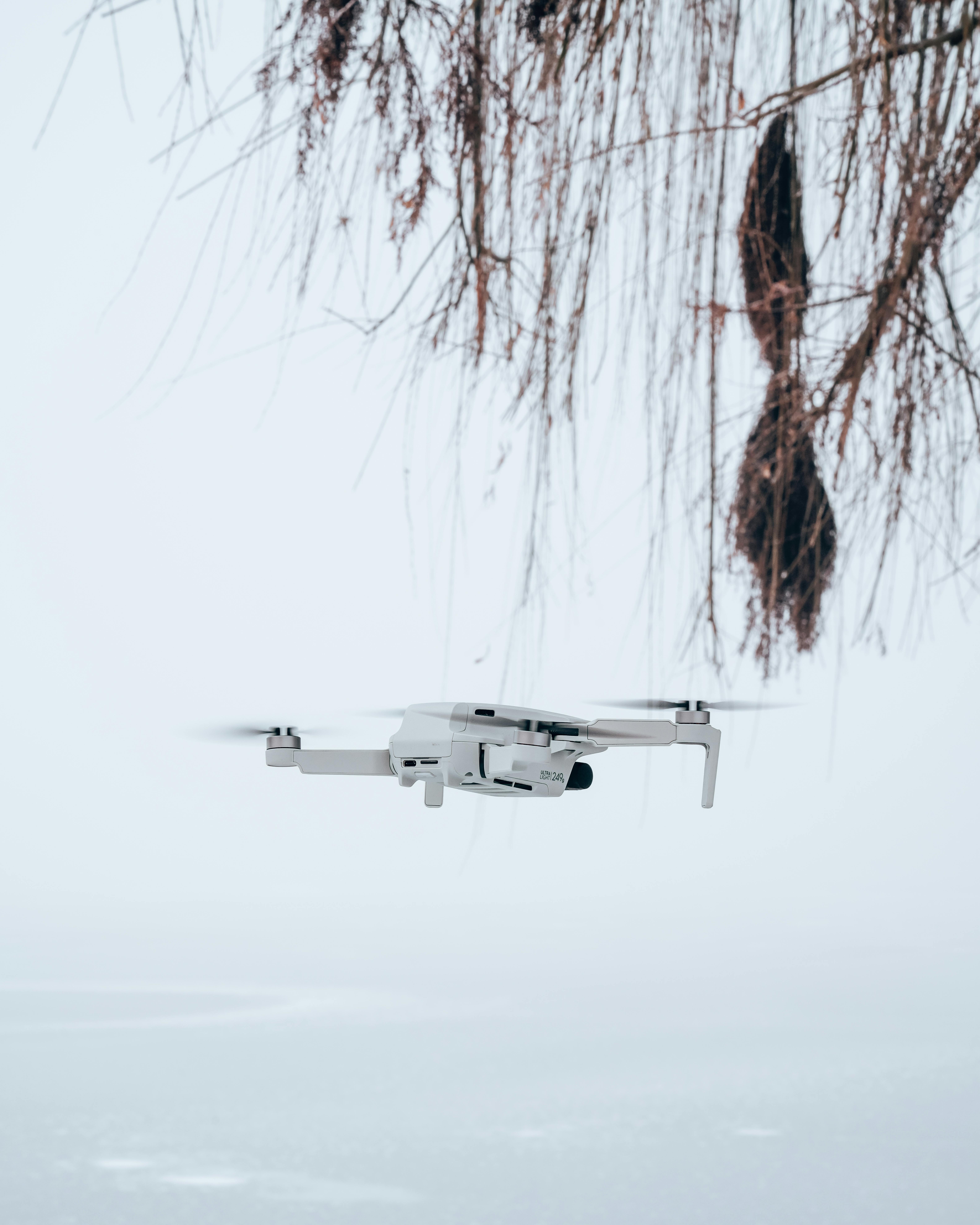 White Drone Flying over Brown Leafless Tree · Free Stock Photo