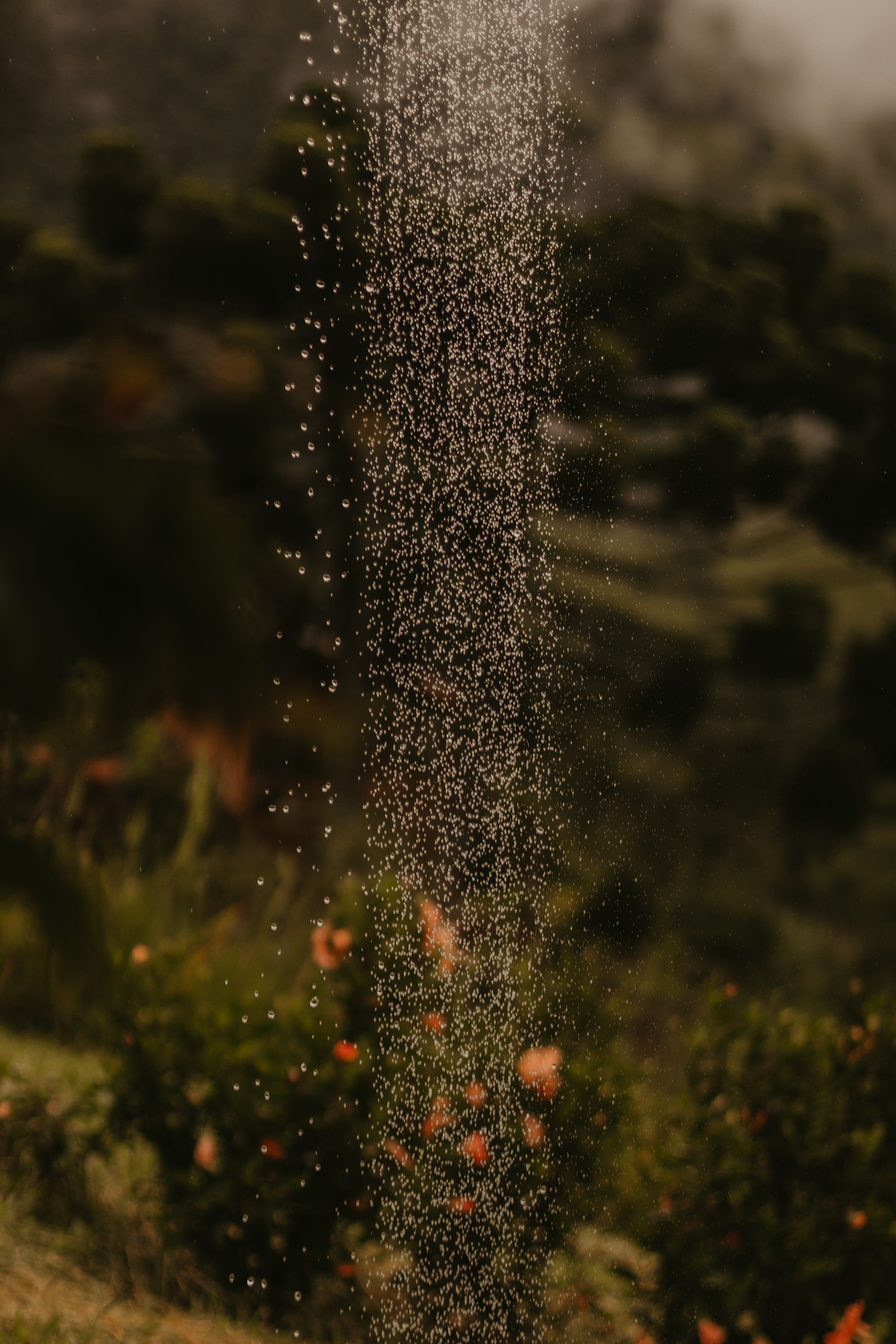 Water Pouring Down Near Green Grass · Free Stock Photo