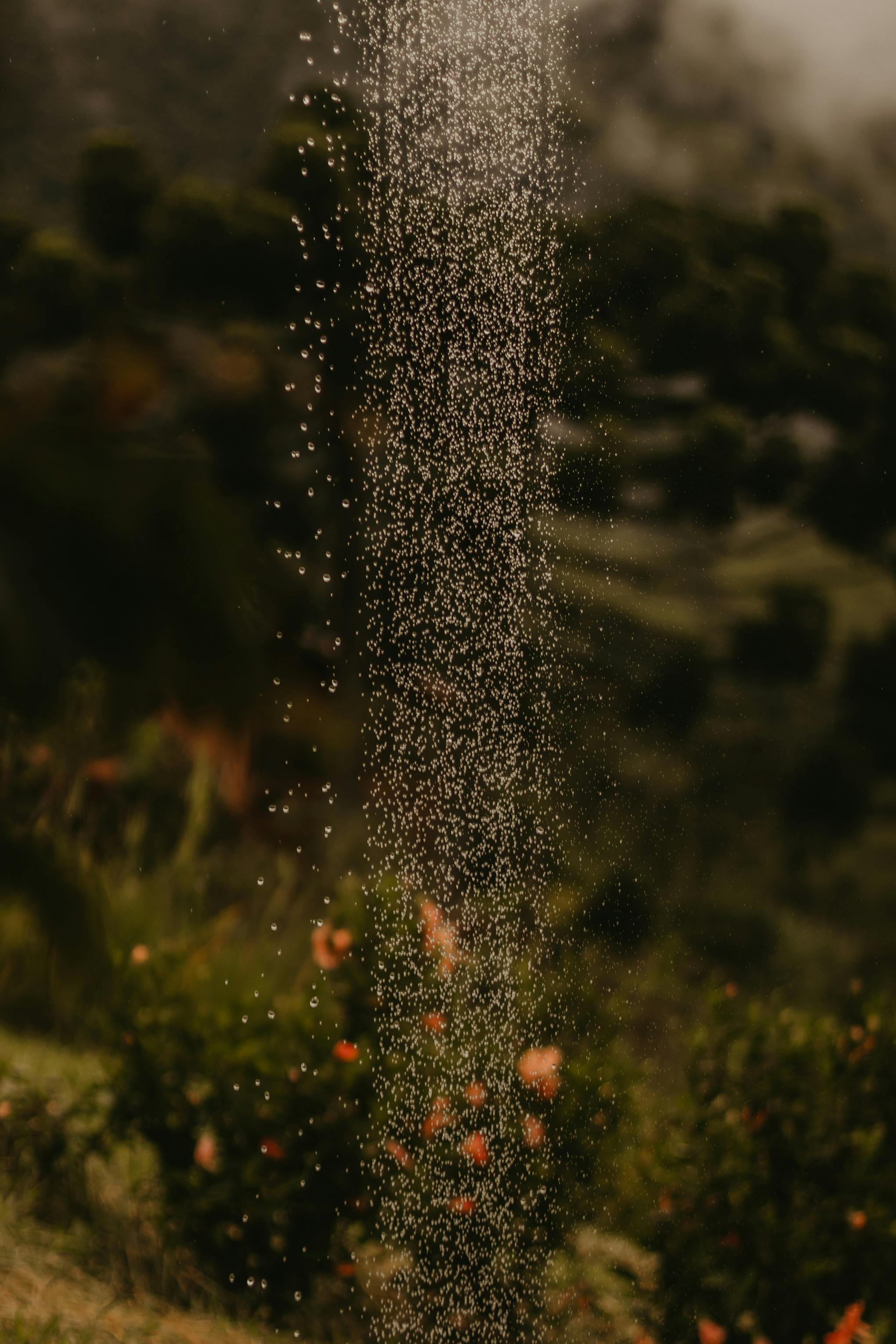 Water Pouring from a Shower Head · Free Stock Photo