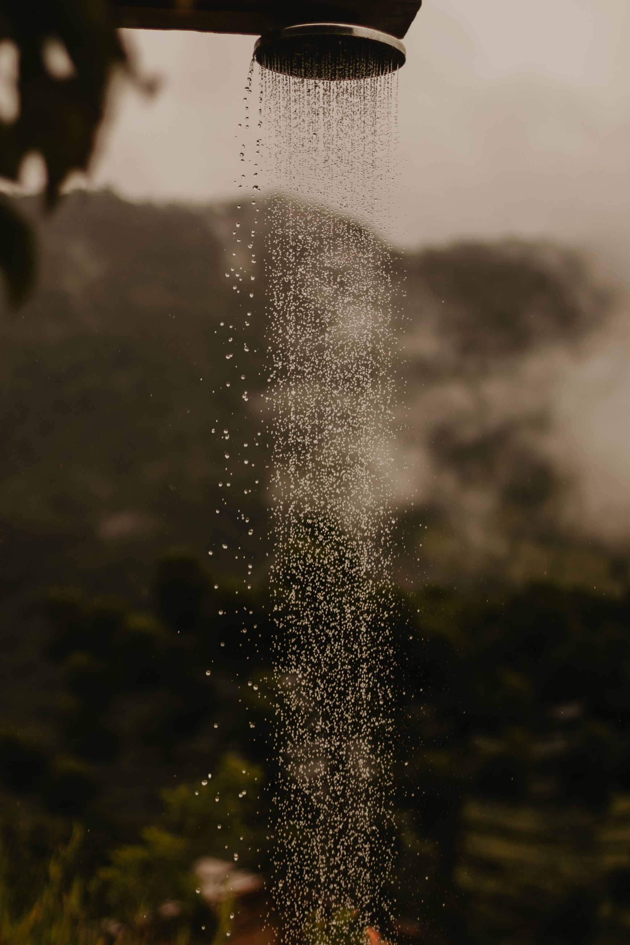 Water Pouring from a Shower Head · Free Stock Photo