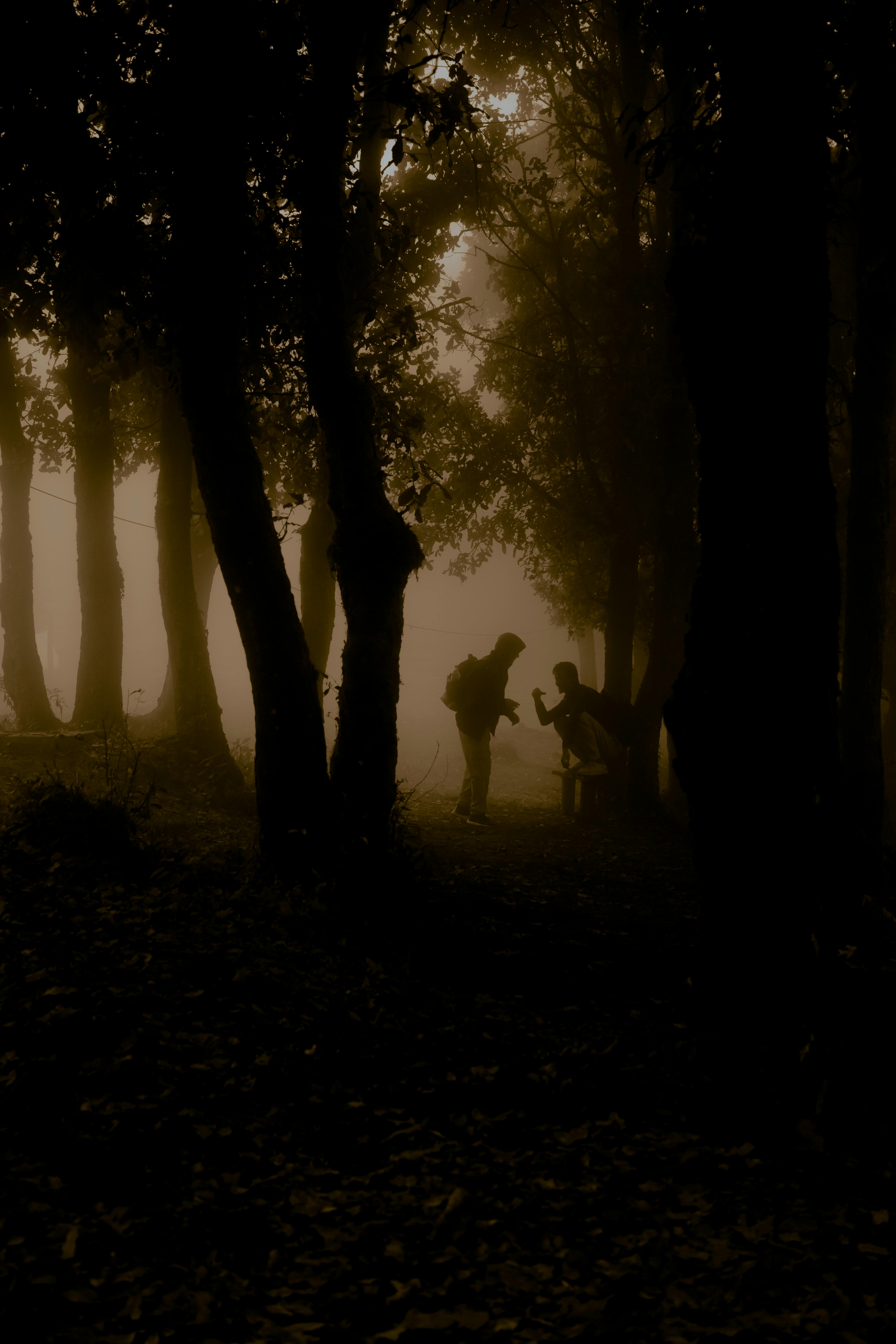 Two People in the Forest · Free Stock Photo