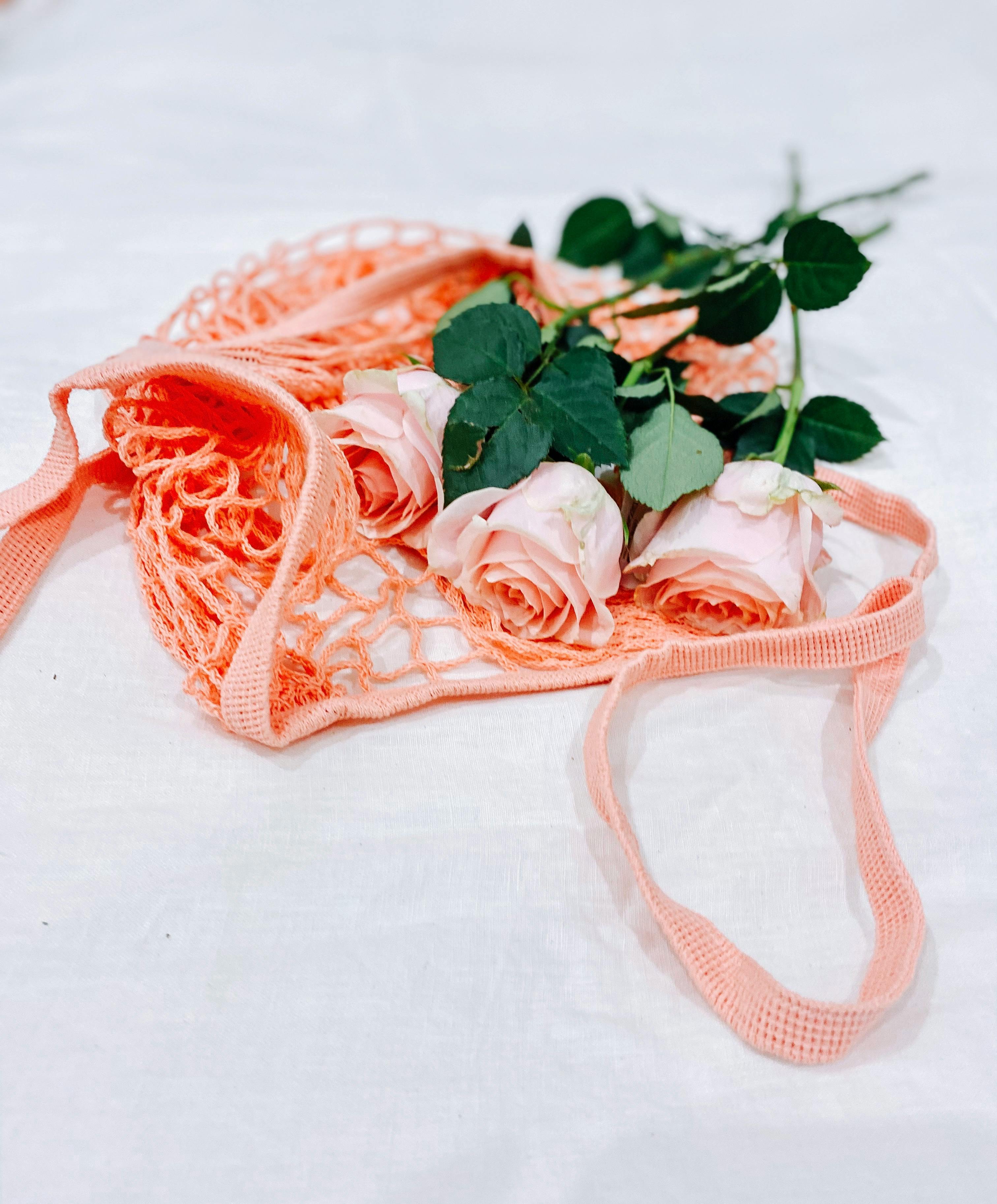 Pink Roses in a Paper Bag · Free Stock Photo