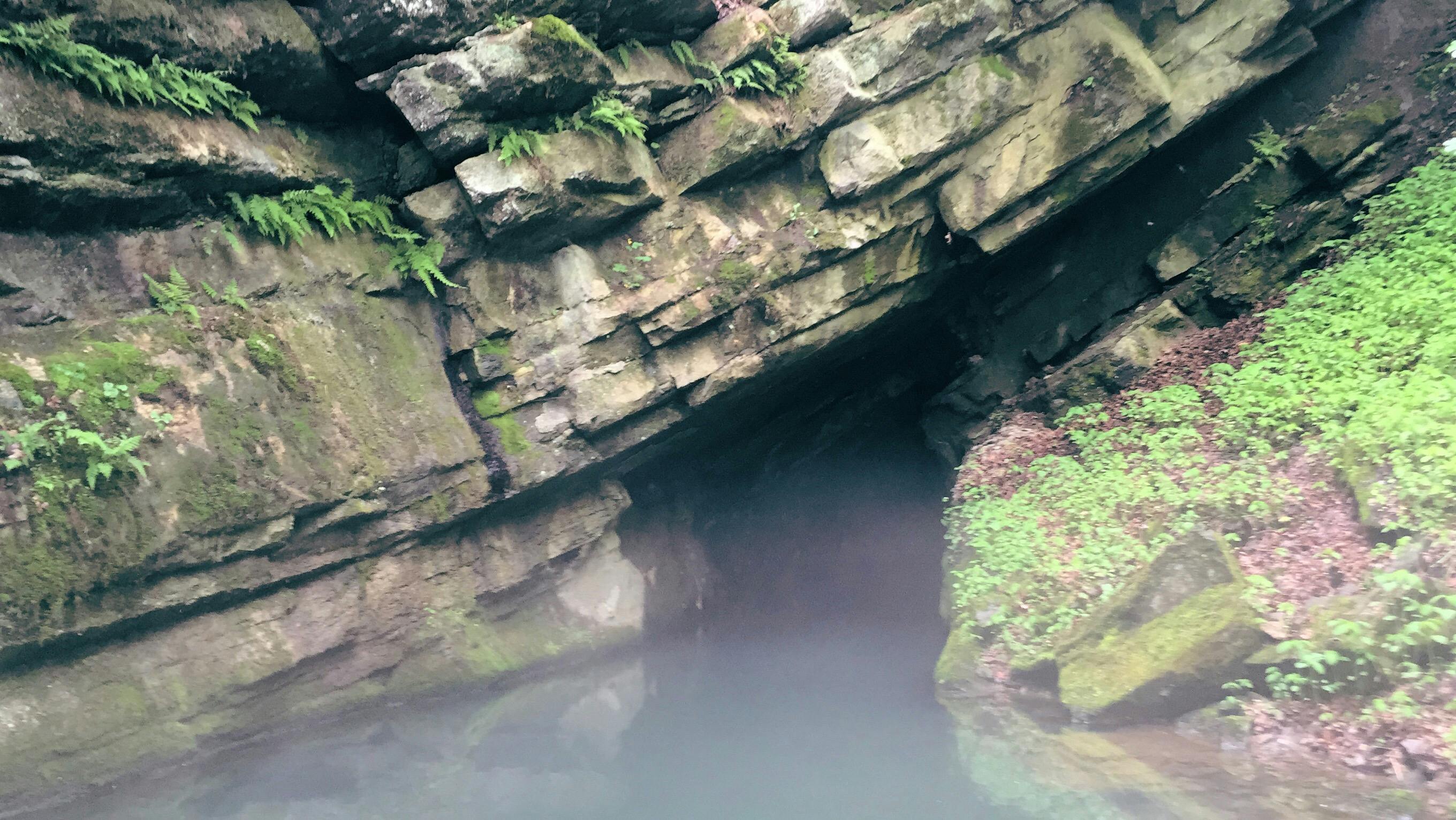 Vamsi Reddy - Photography