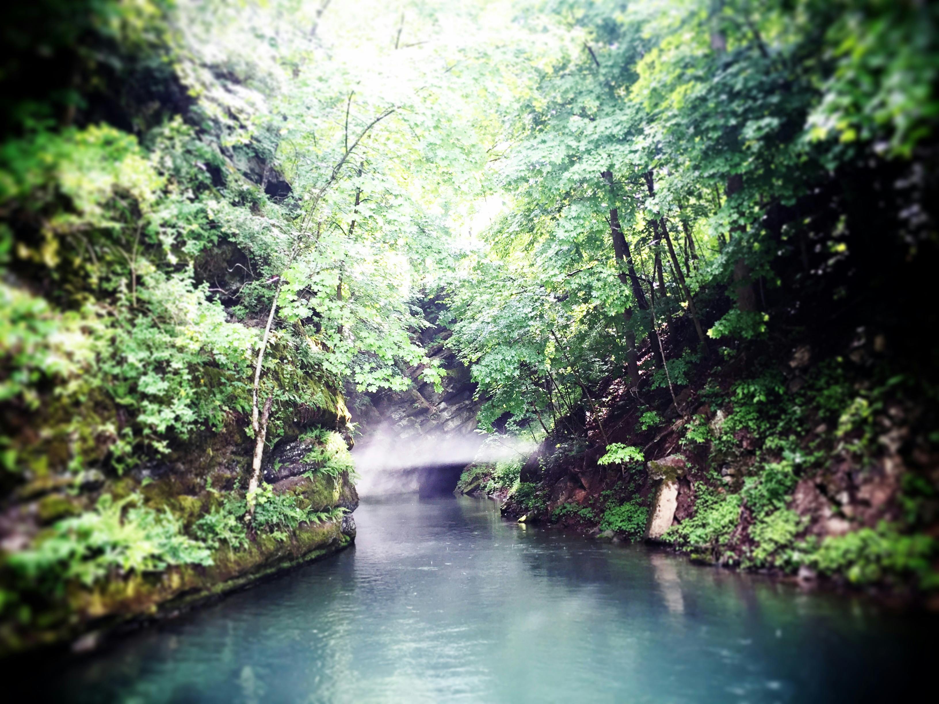 Vamsi Reddy - Photographie