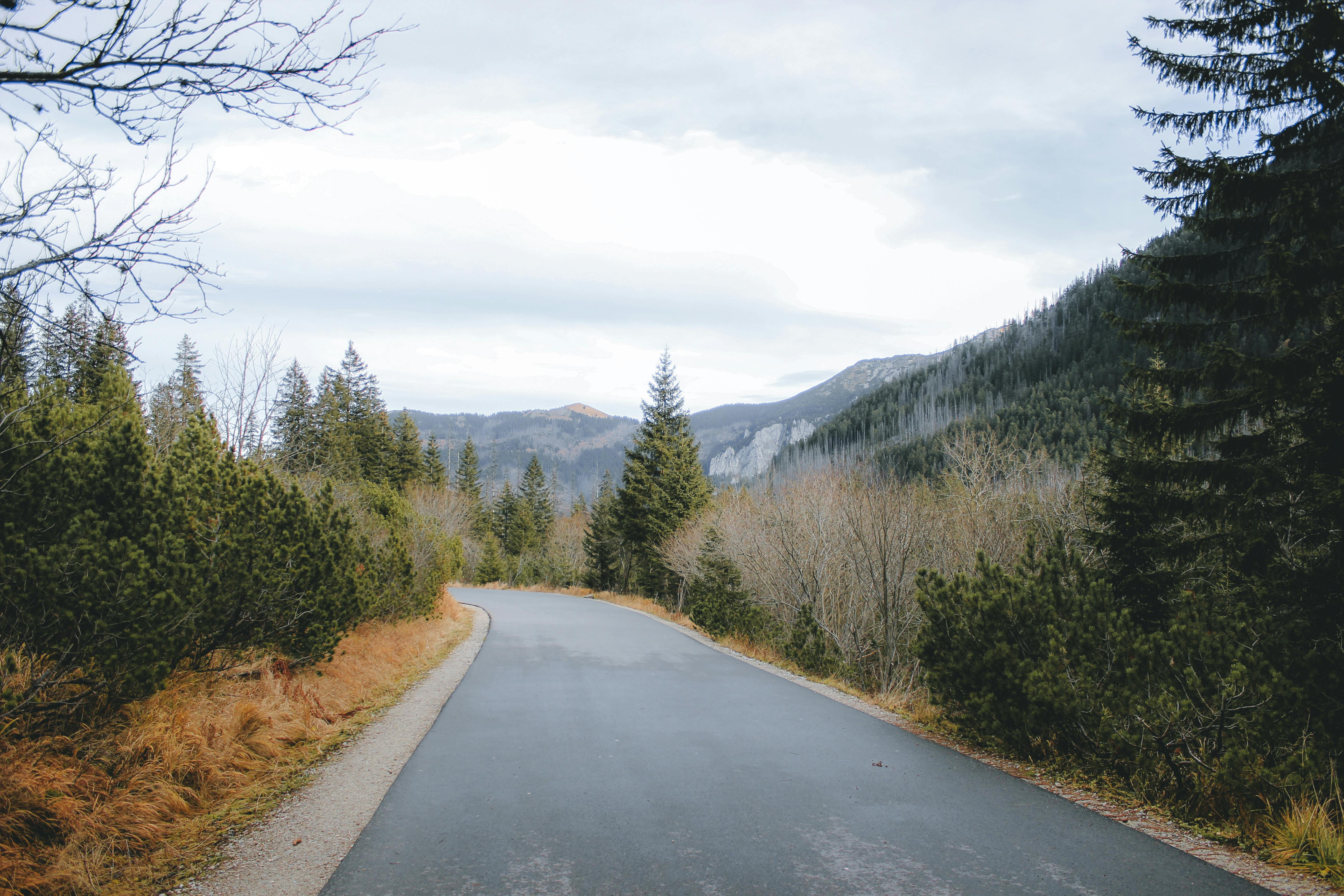 Wilderness Road Photos, Download The BEST Free Wilderness Road Stock ...