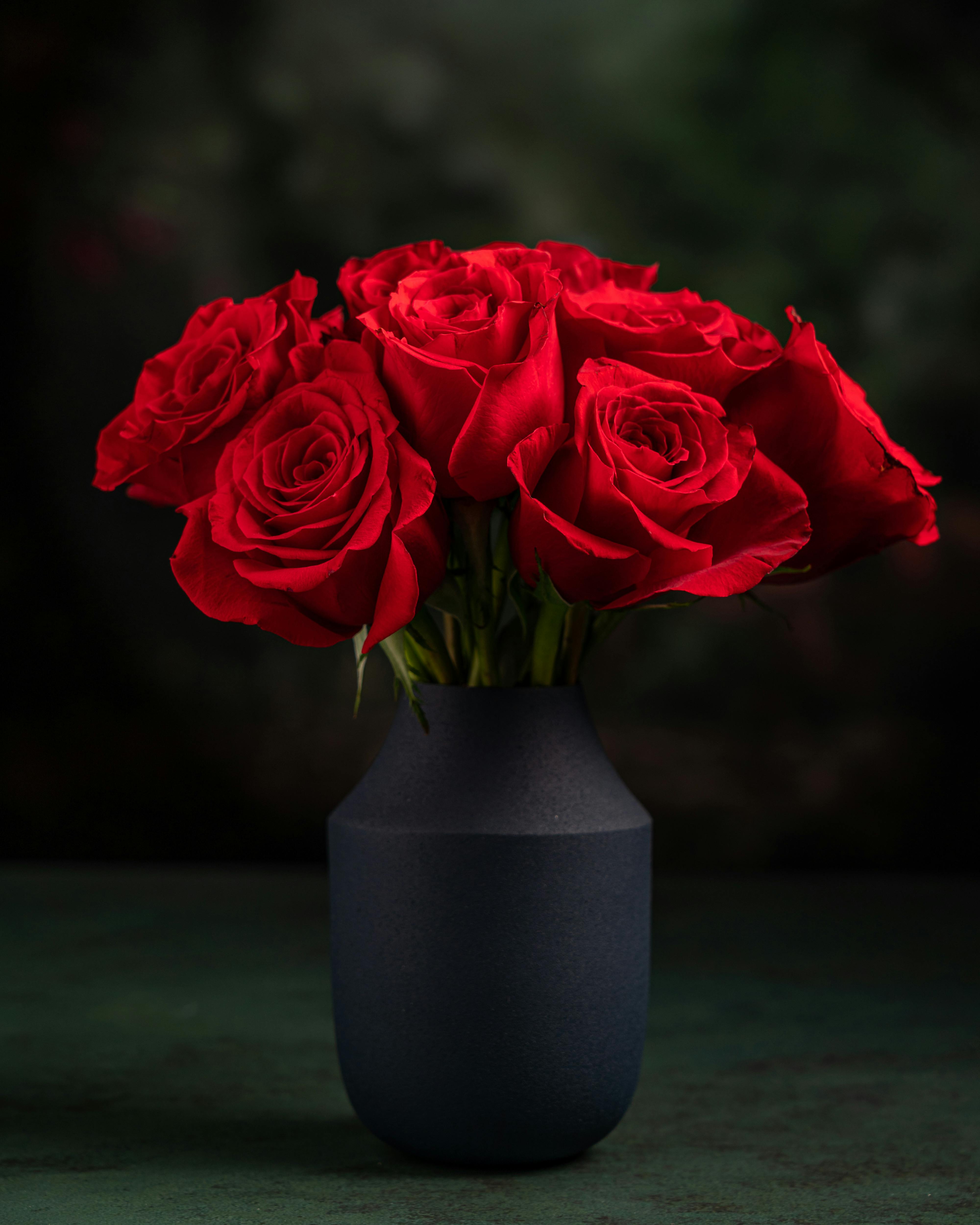Red Roses in a Vase · Free Stock Photo