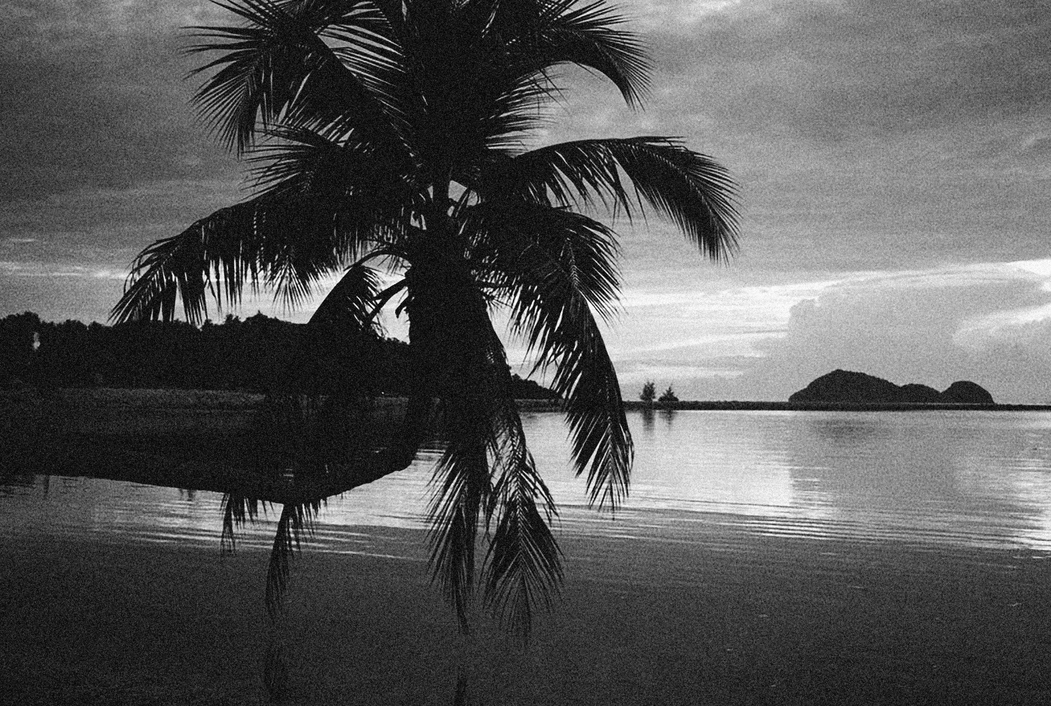 Grayscale Photo of the Beach · Free Stock Photo