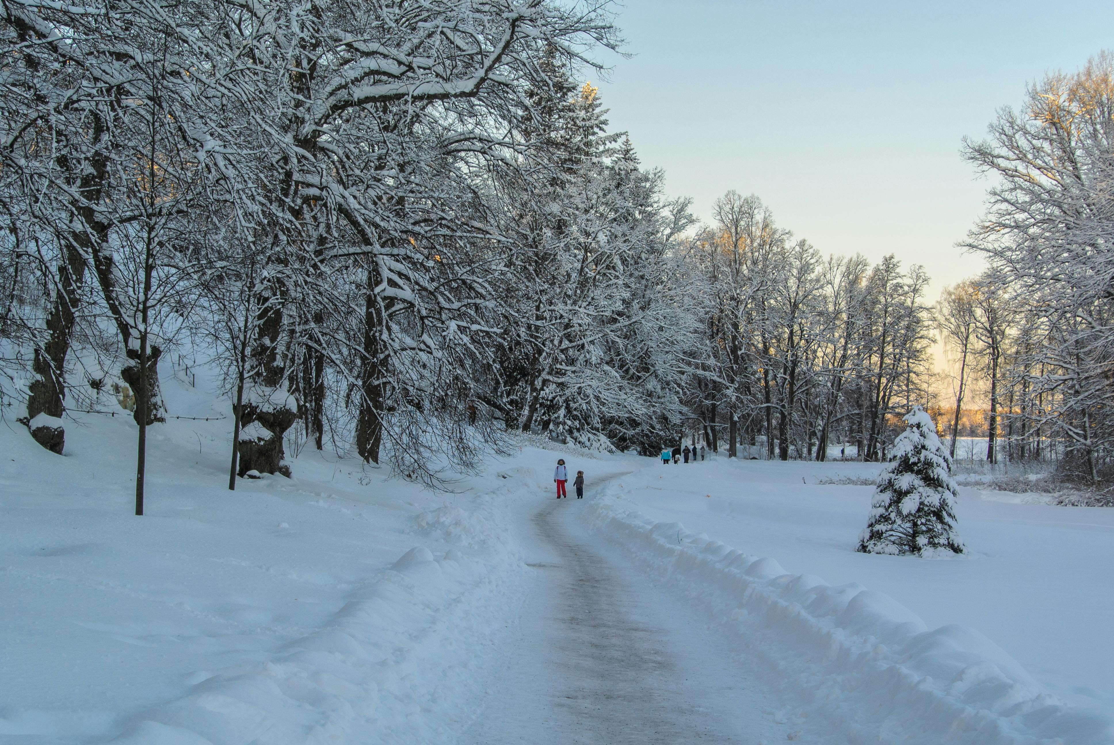 People Walking on Snow Covered Path · Free Stock Photo
