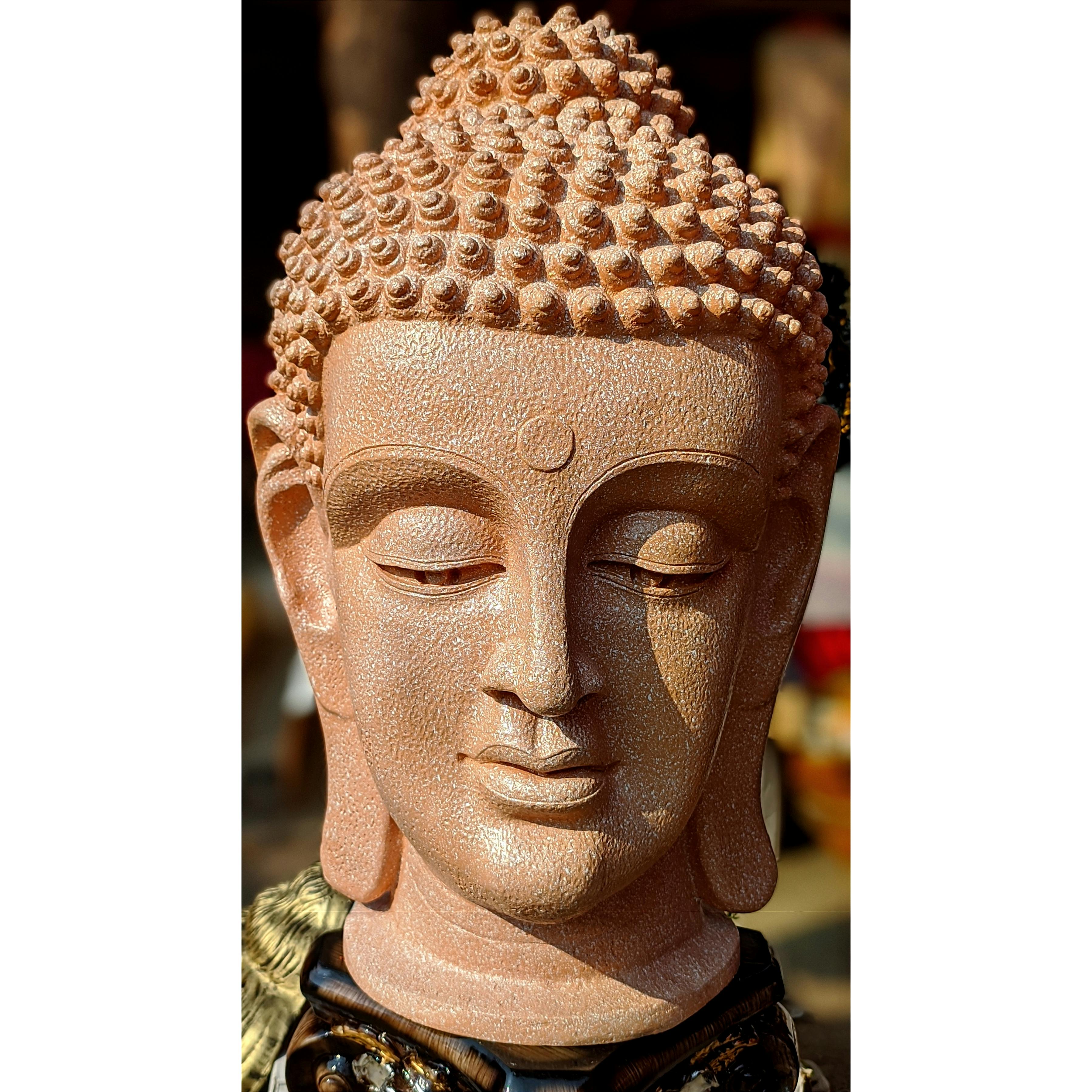 Close-up of a Buddha Statue · Free Stock Photo