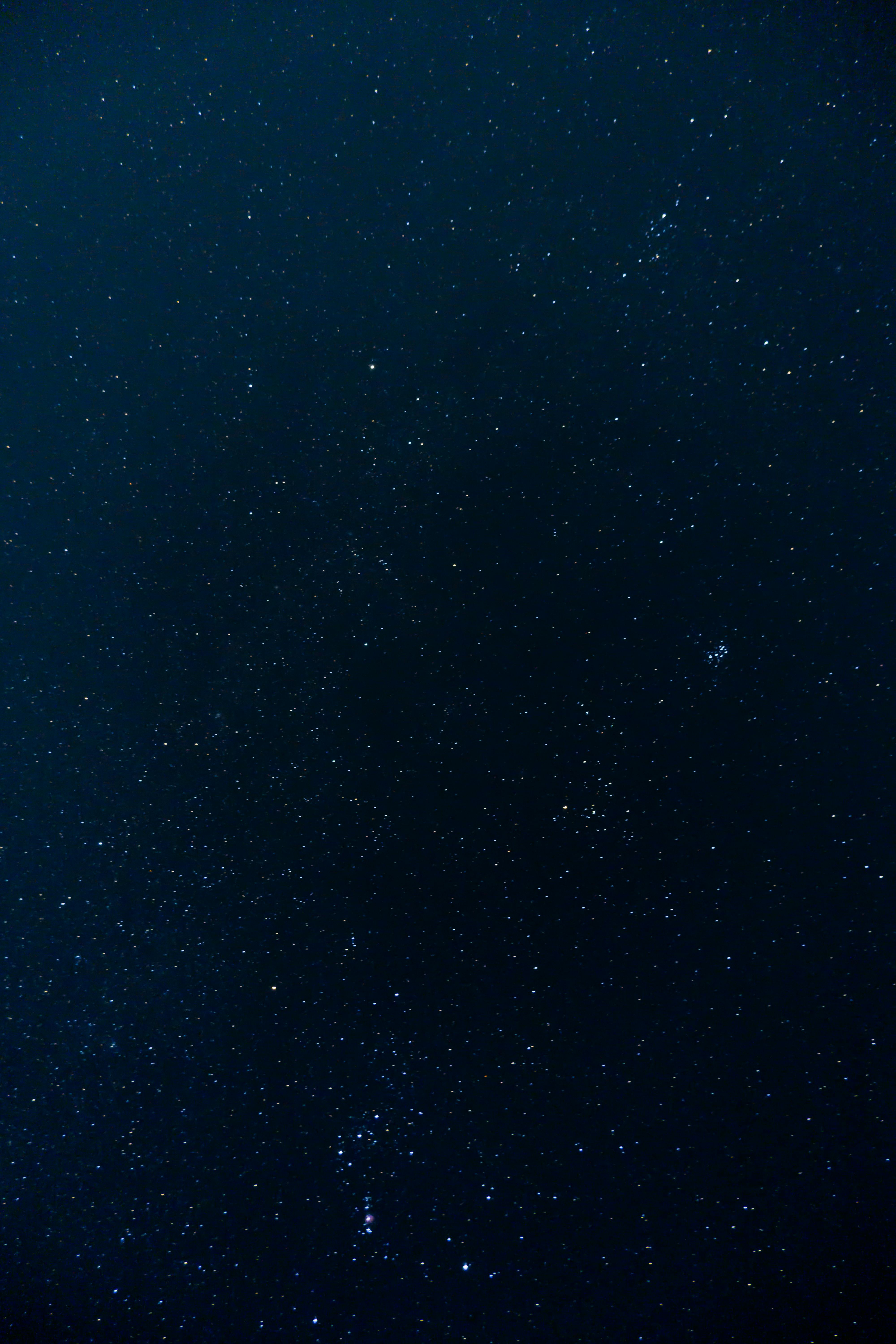 Stars Across the Night Sky · Free Stock Photo