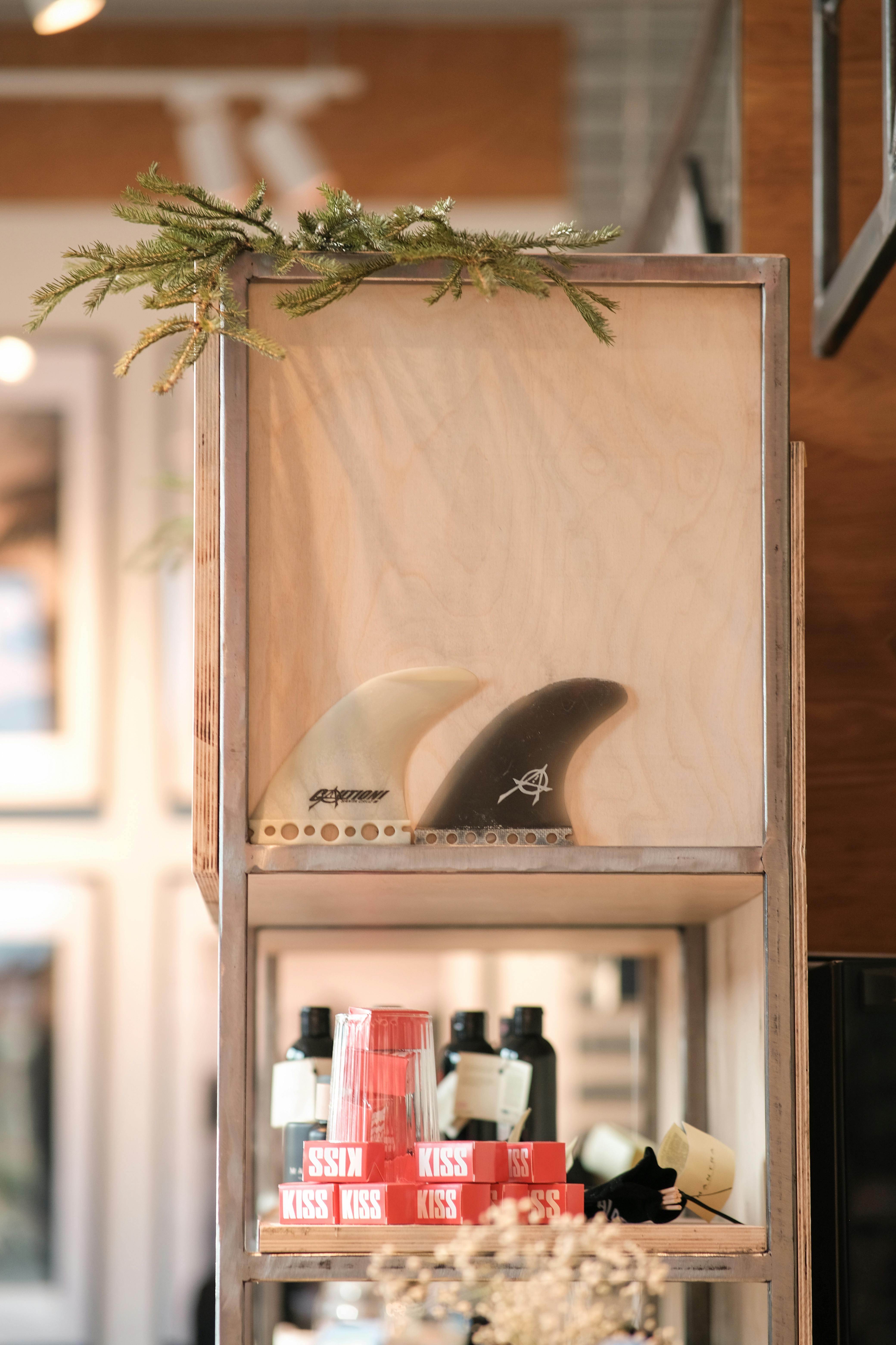 Fin Presentation Photos, Download The BEST Free Fin Presentation Stock ...