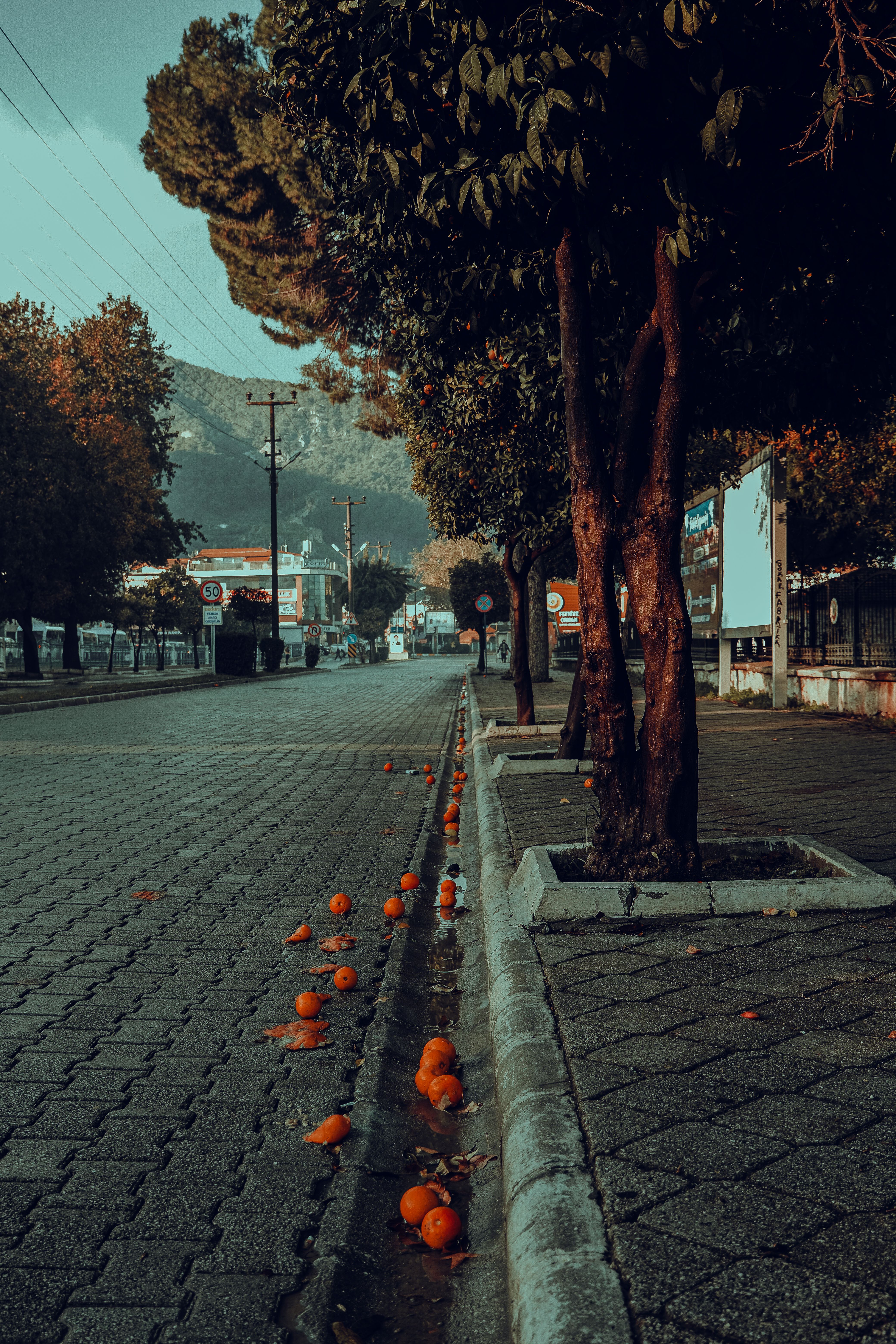 Photograph of Oranges on the Street · Free Stock Photo