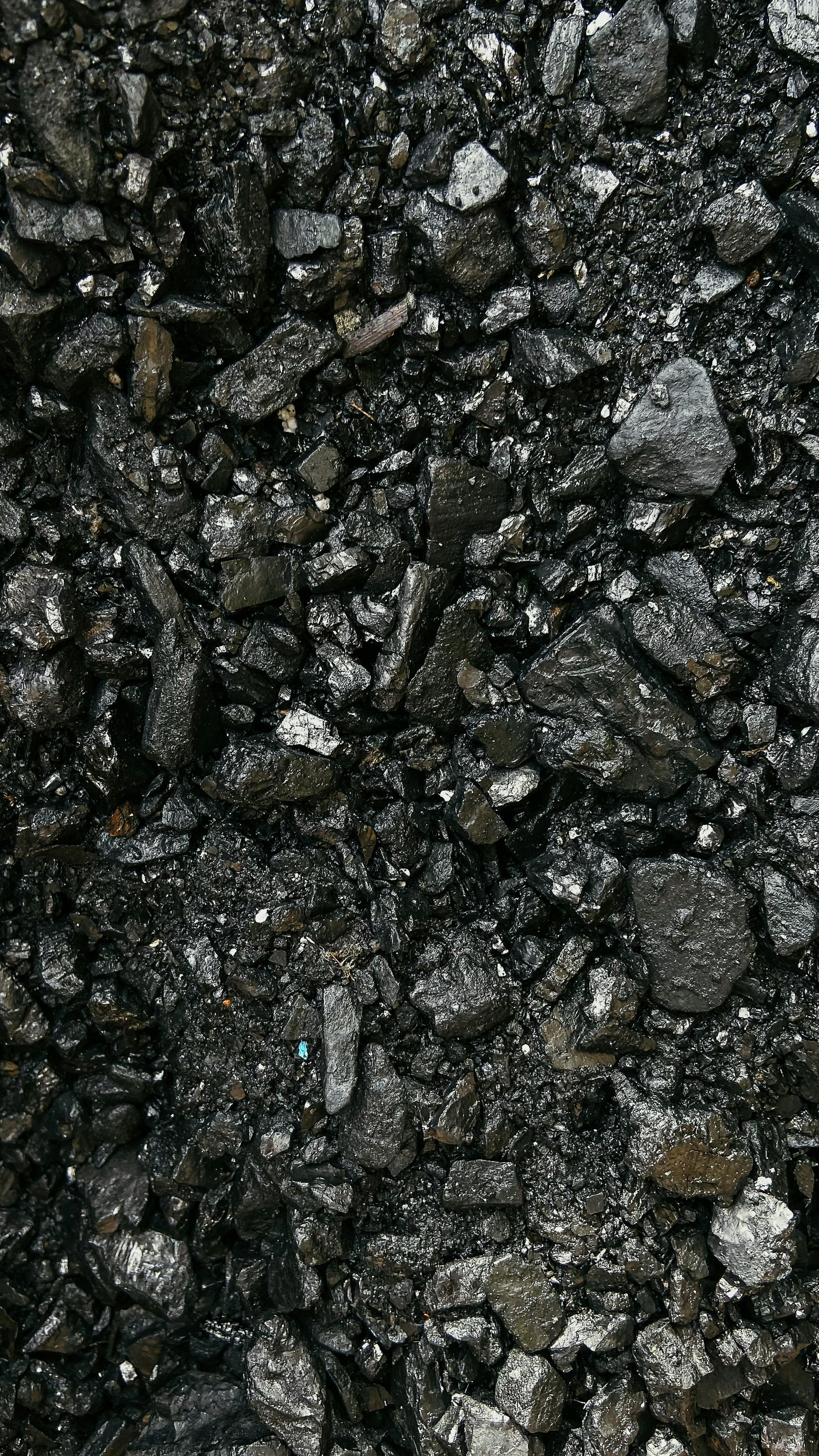 Close Up Photo of Wet Rocks · Free Stock Photo