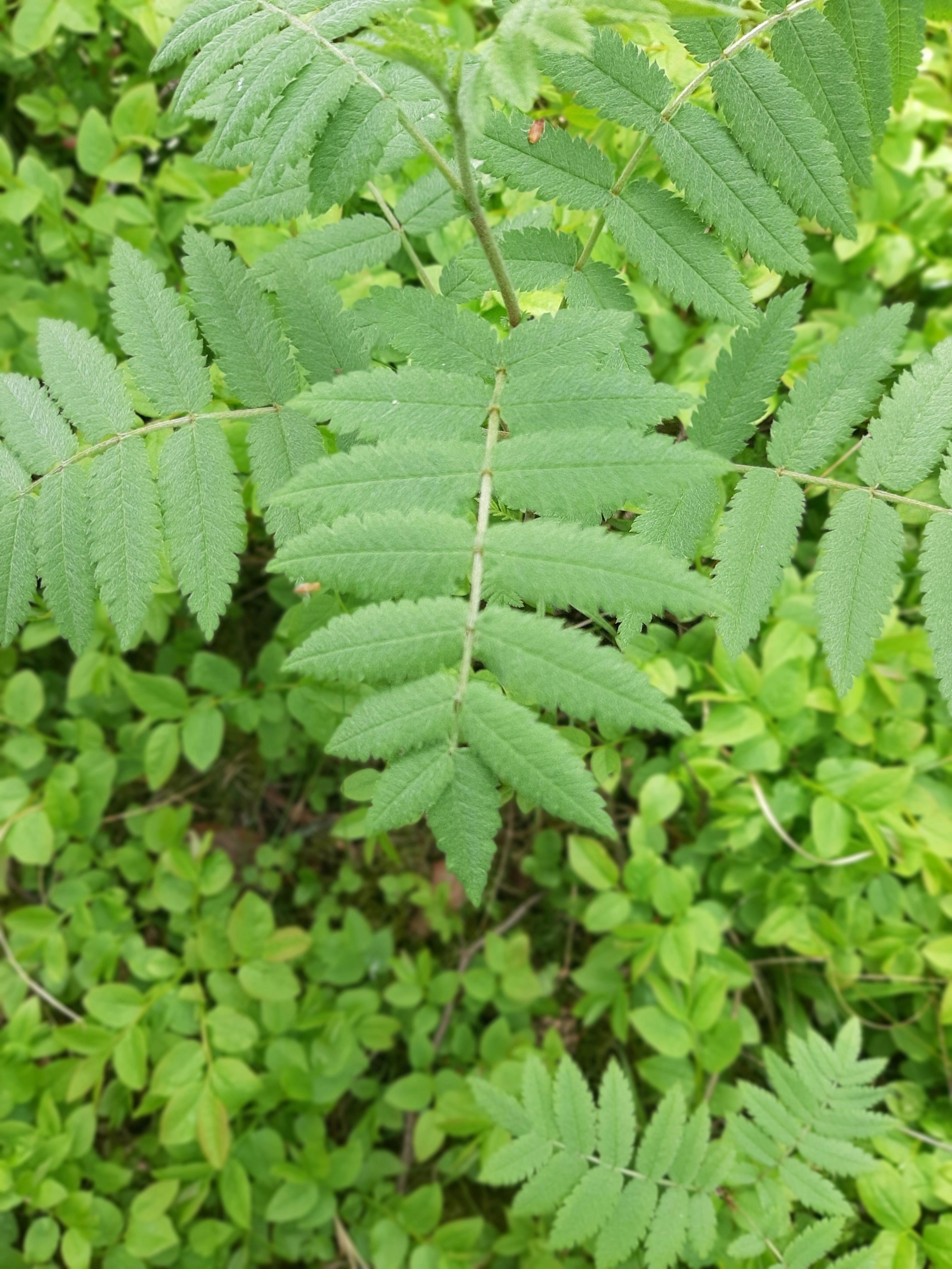 Pictures 47 Photos & Videos Collected by Kasparas Busma