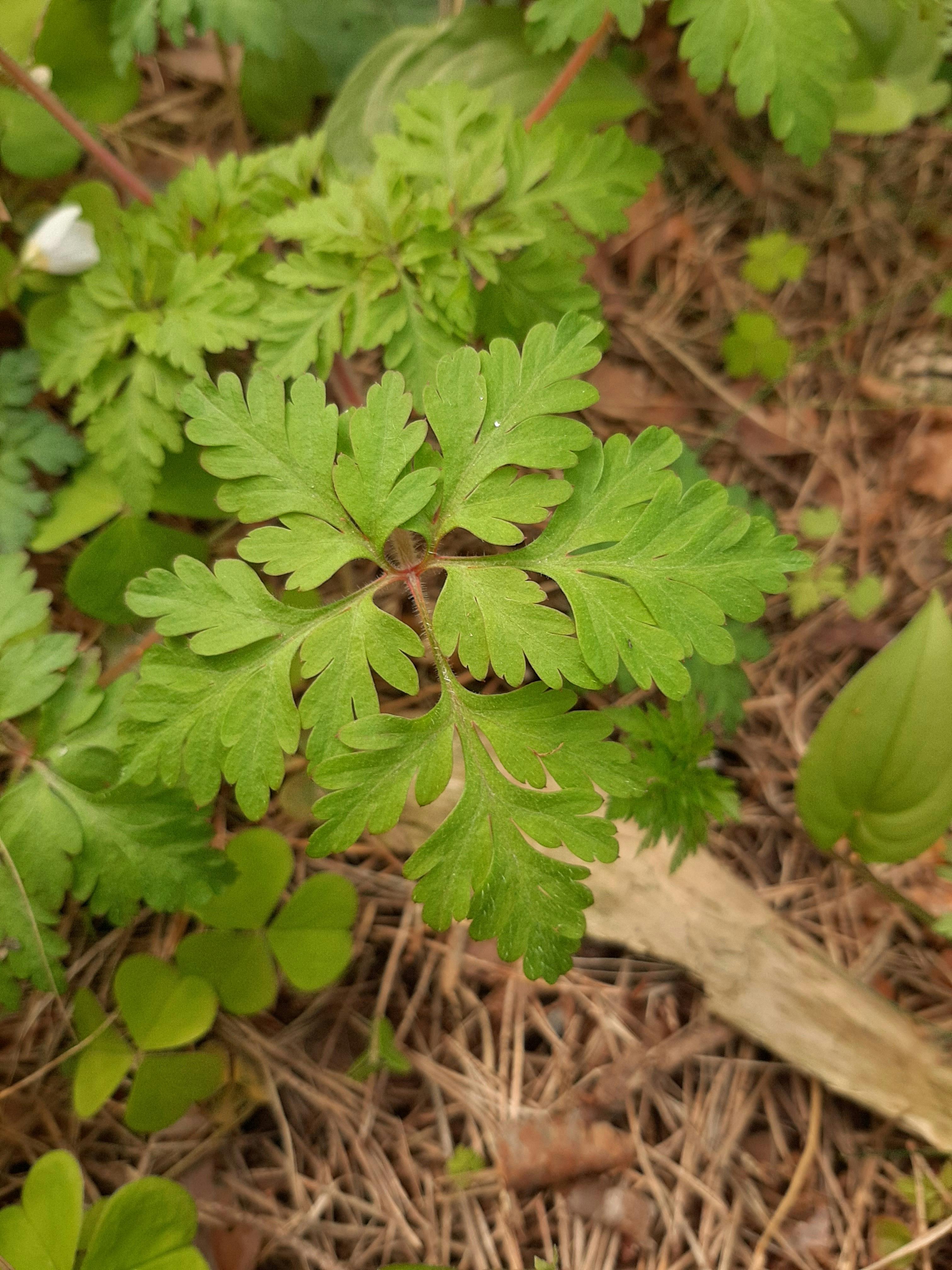 Pictures 47 Photos & Videos Collected by Kasparas Busma