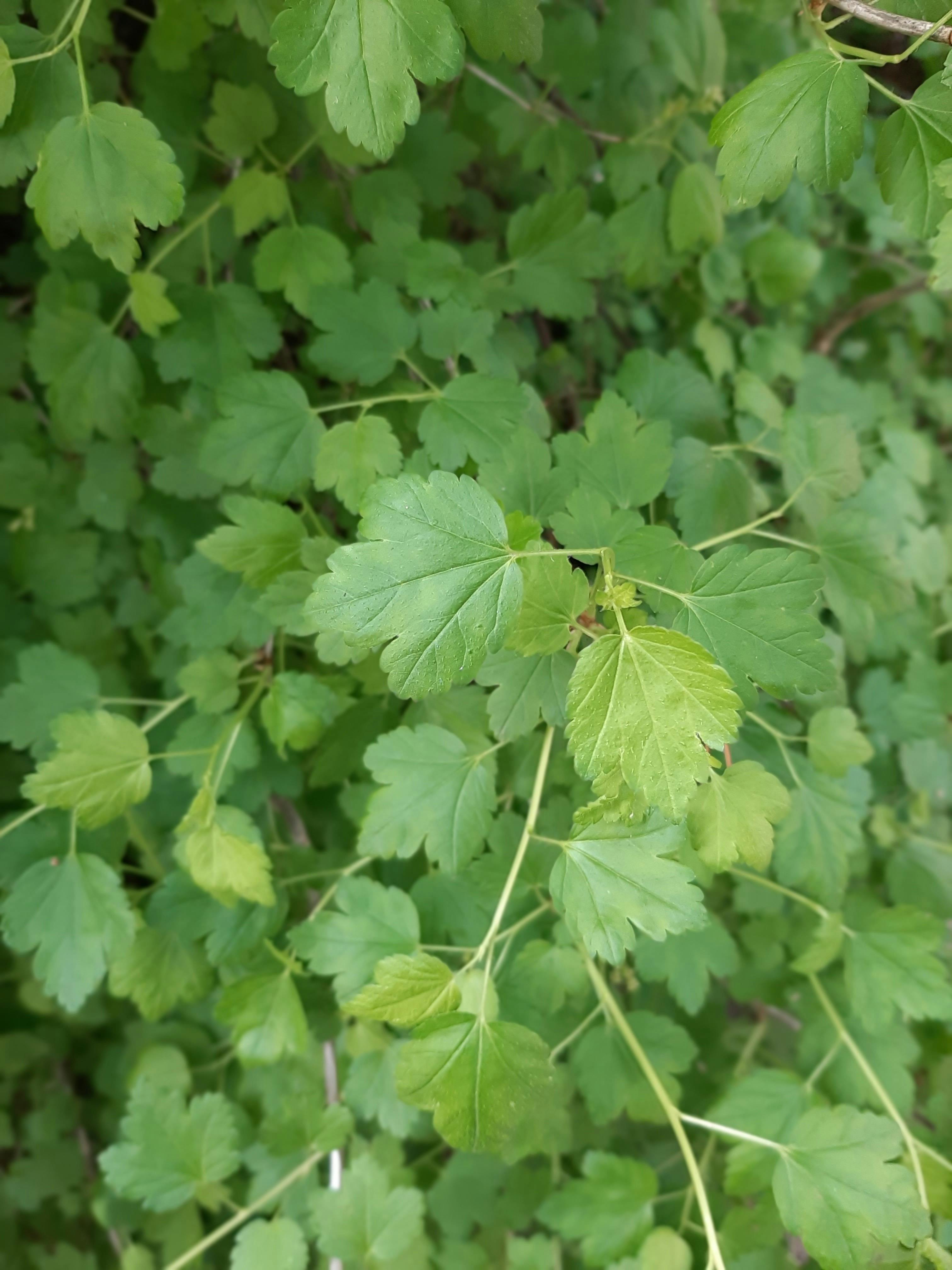 Pictures 47 Photos & Videos Collected by Kasparas Busma