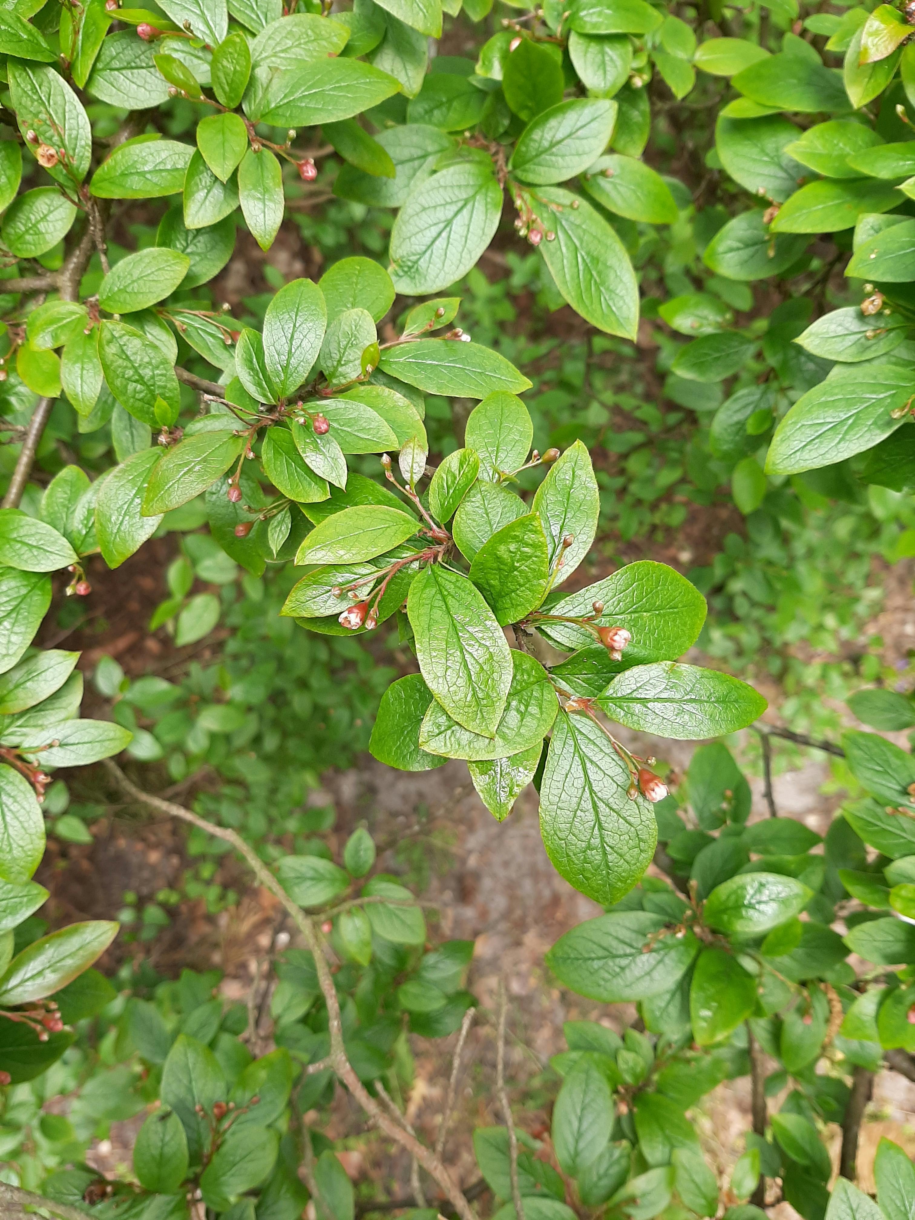 Pictures 47 Photos & Videos Collected by Kasparas Busma