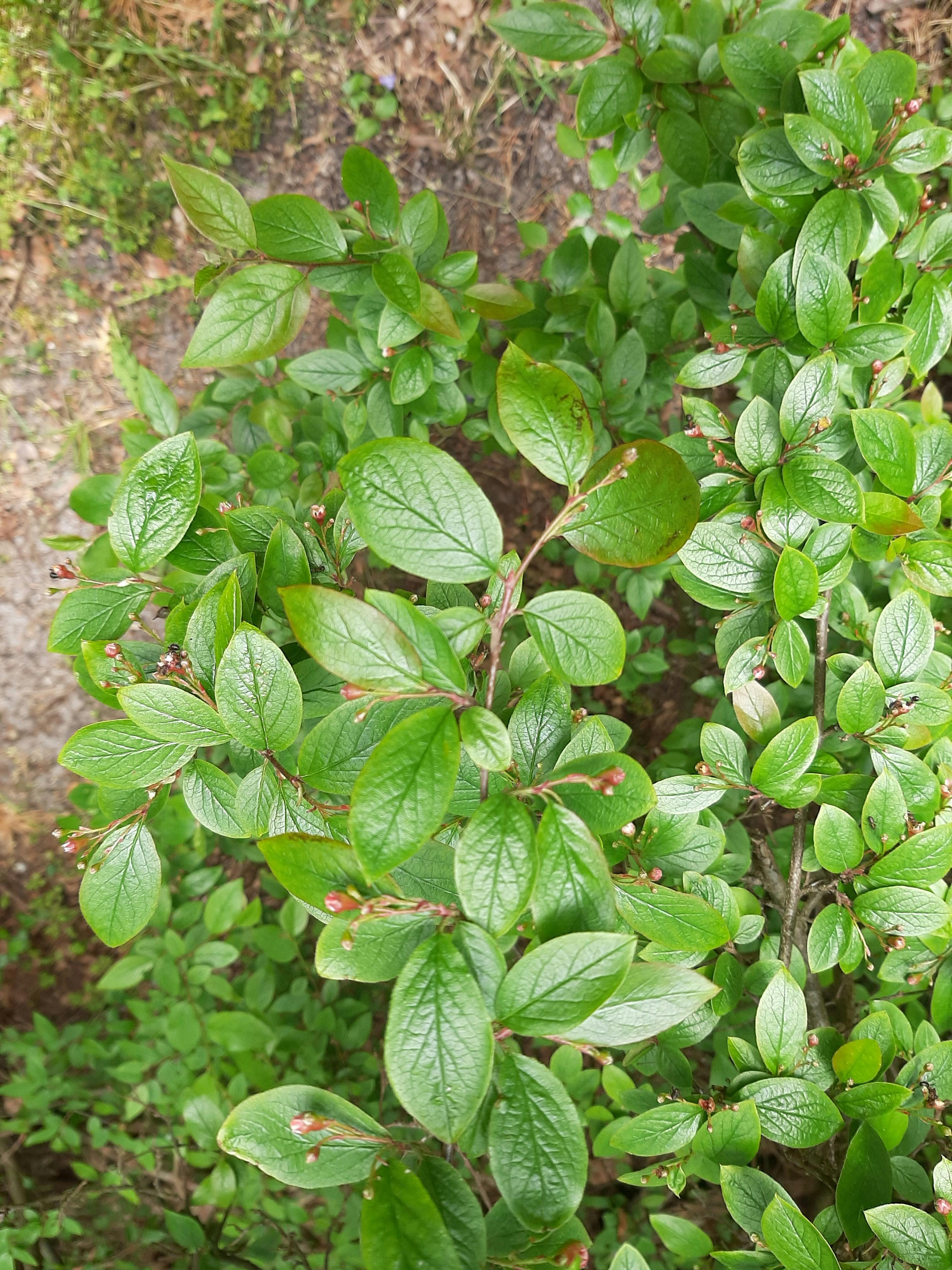 Pictures 47 Photos & Videos Collected by Kasparas Busma