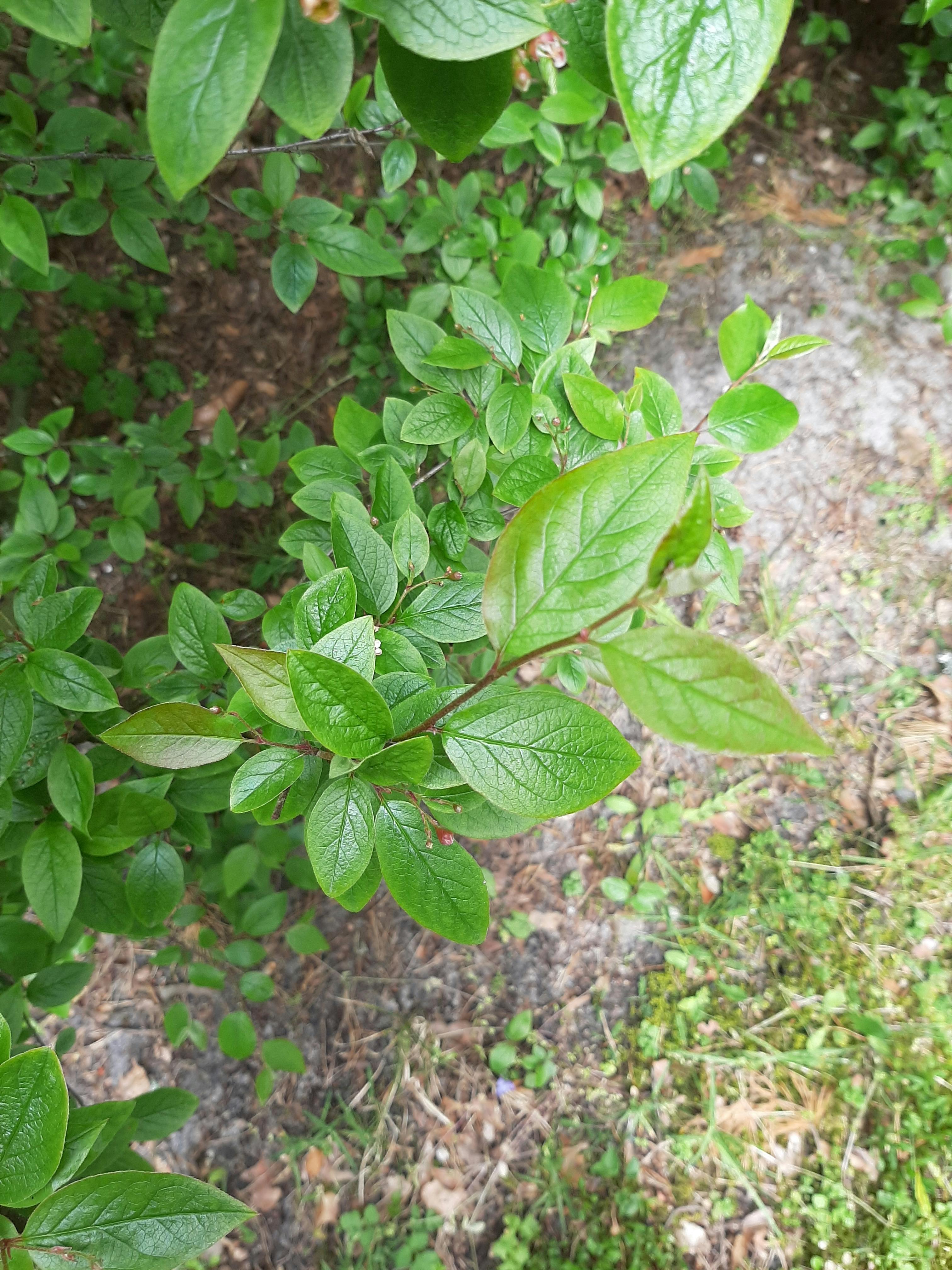 Pictures 47 Photos & Videos Collected by Kasparas Busma