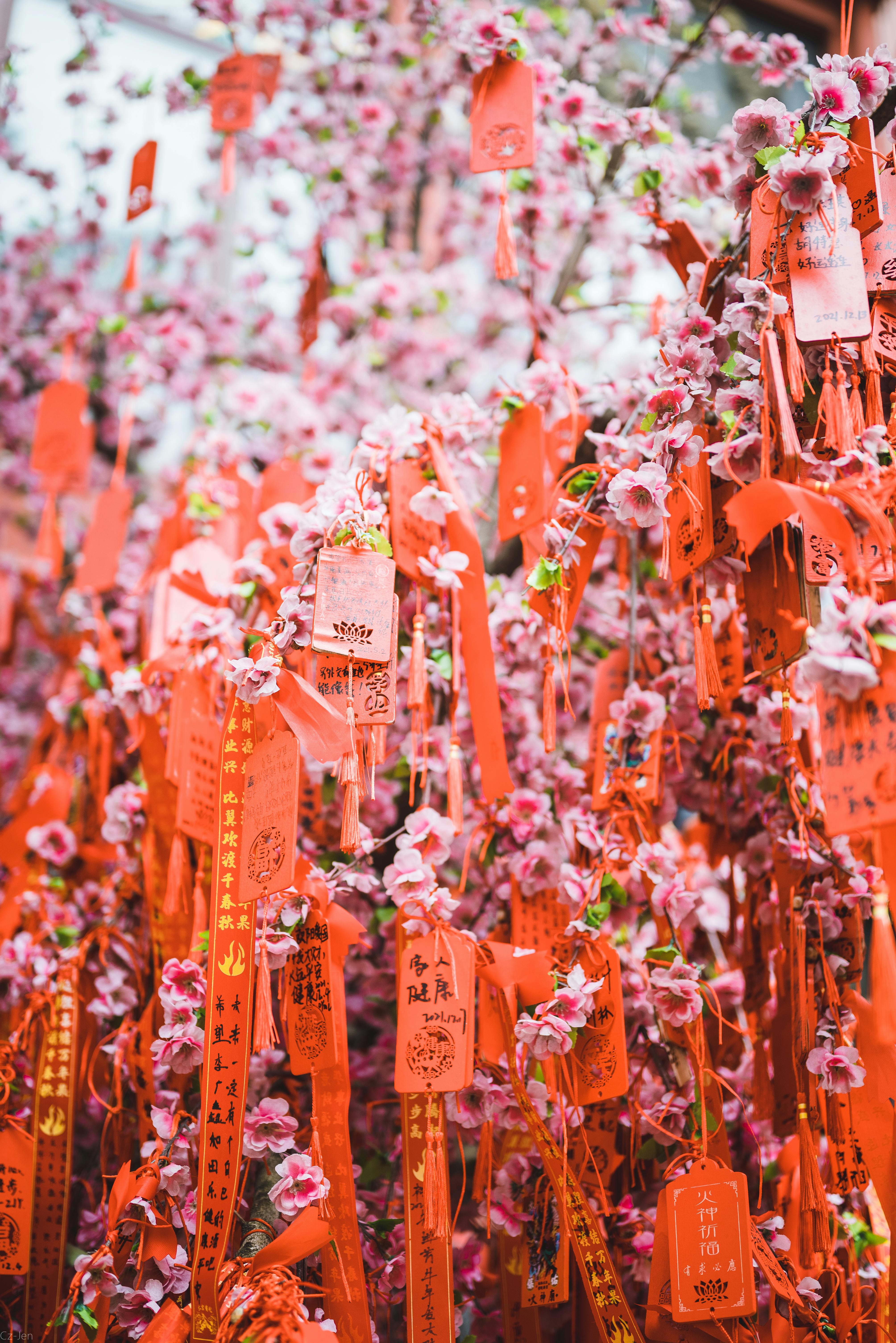 Wishing Tree with Red Ornaments · Free Stock Photo