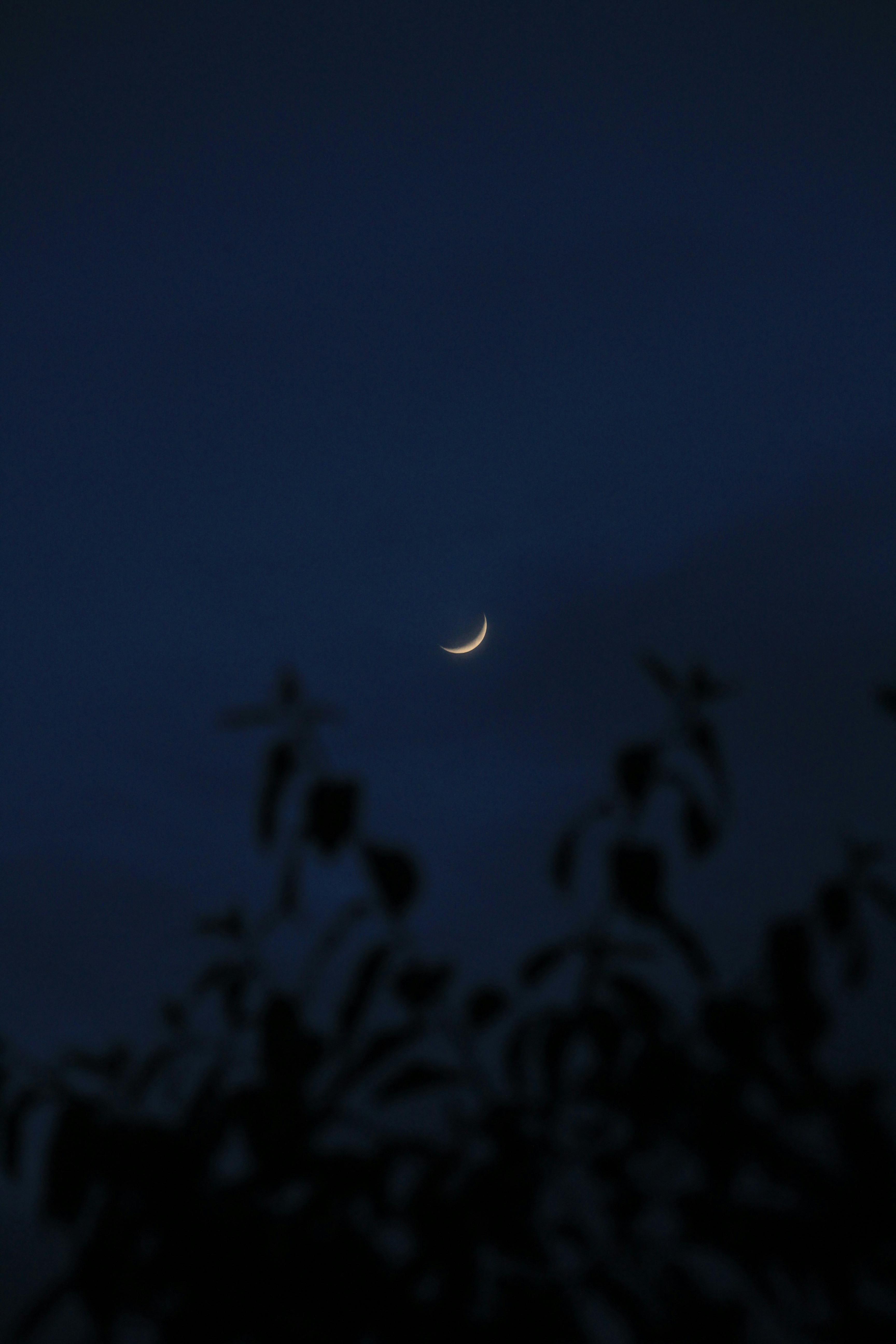 Crescent Moon in The Blue Sky · Free Stock Photo