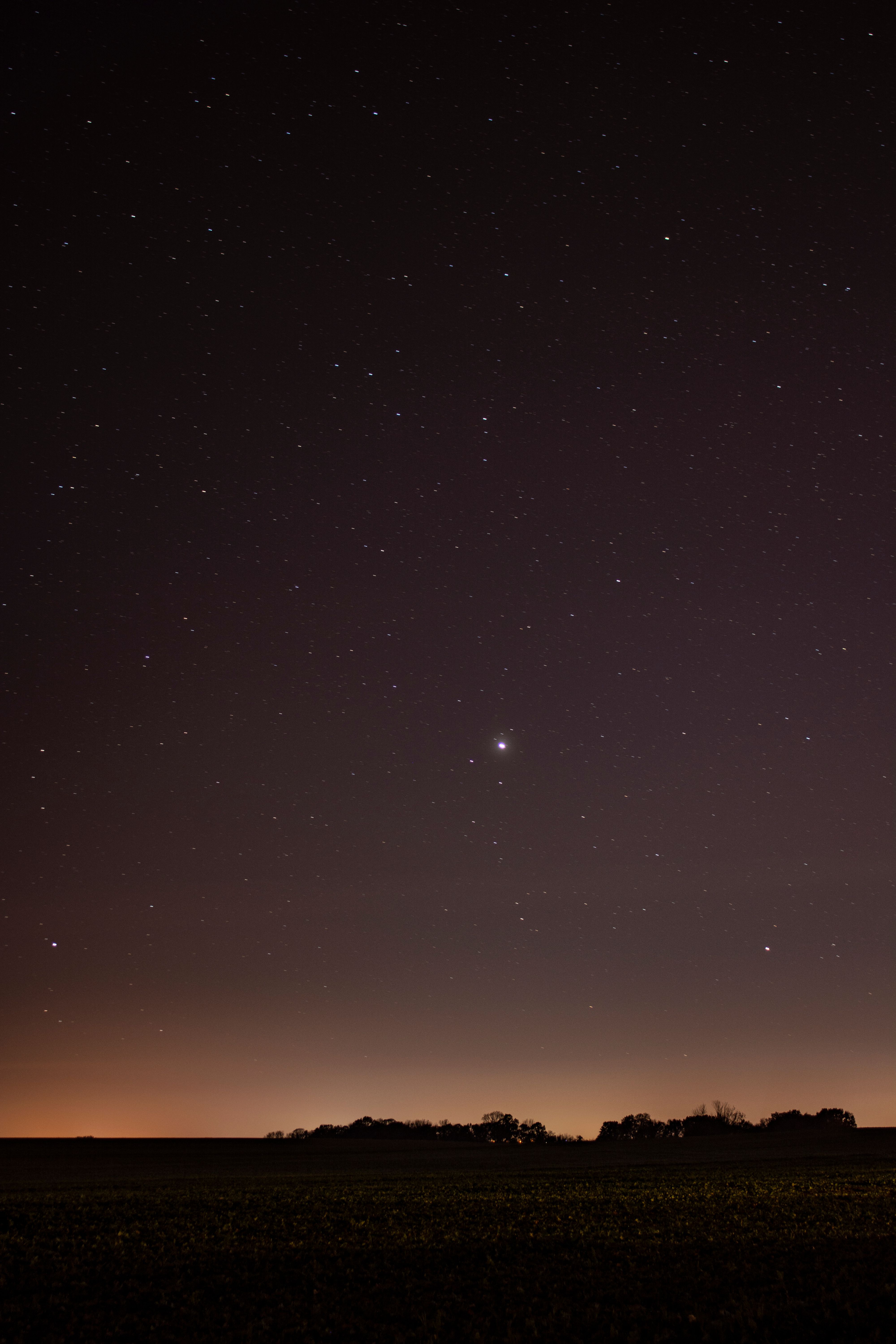 Starry Night Sky above Field · Free Stock Photo