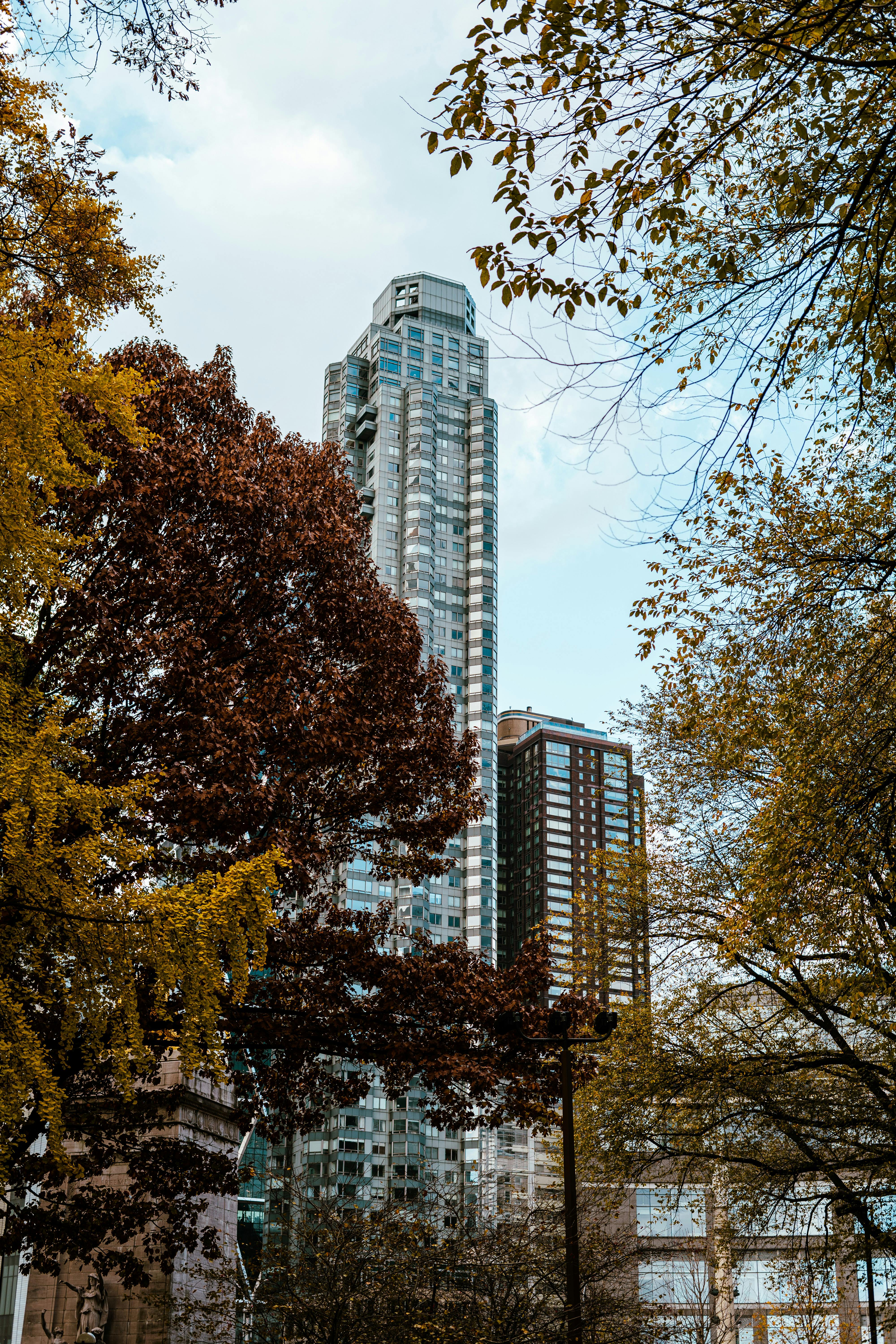 High-rise Building Near Trees · Free Stock Photo