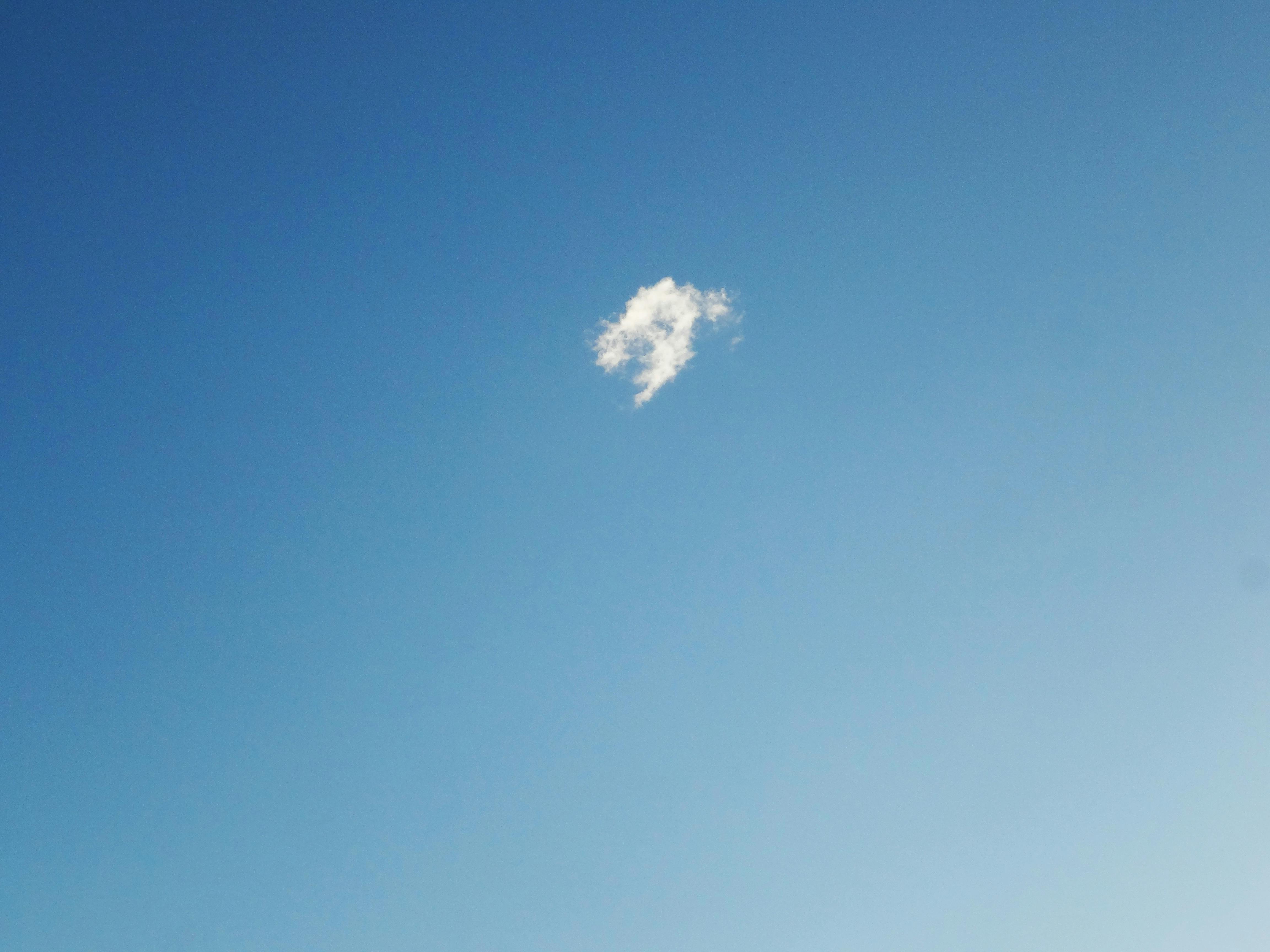 Klara-Helena Neumann – Fotografia