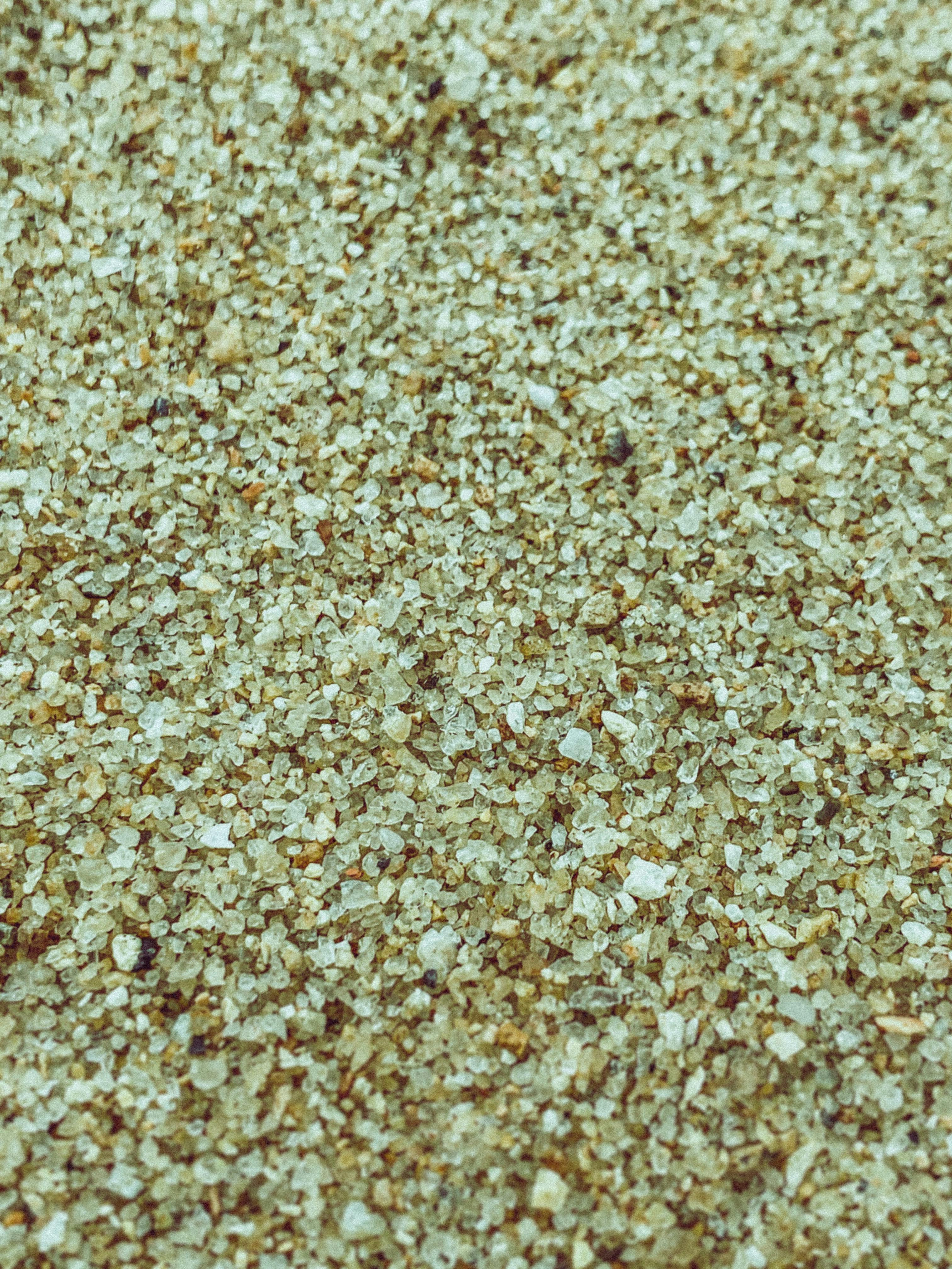 Sand Plaster Texture Photos, Download The BEST Free Sand Plaster ...