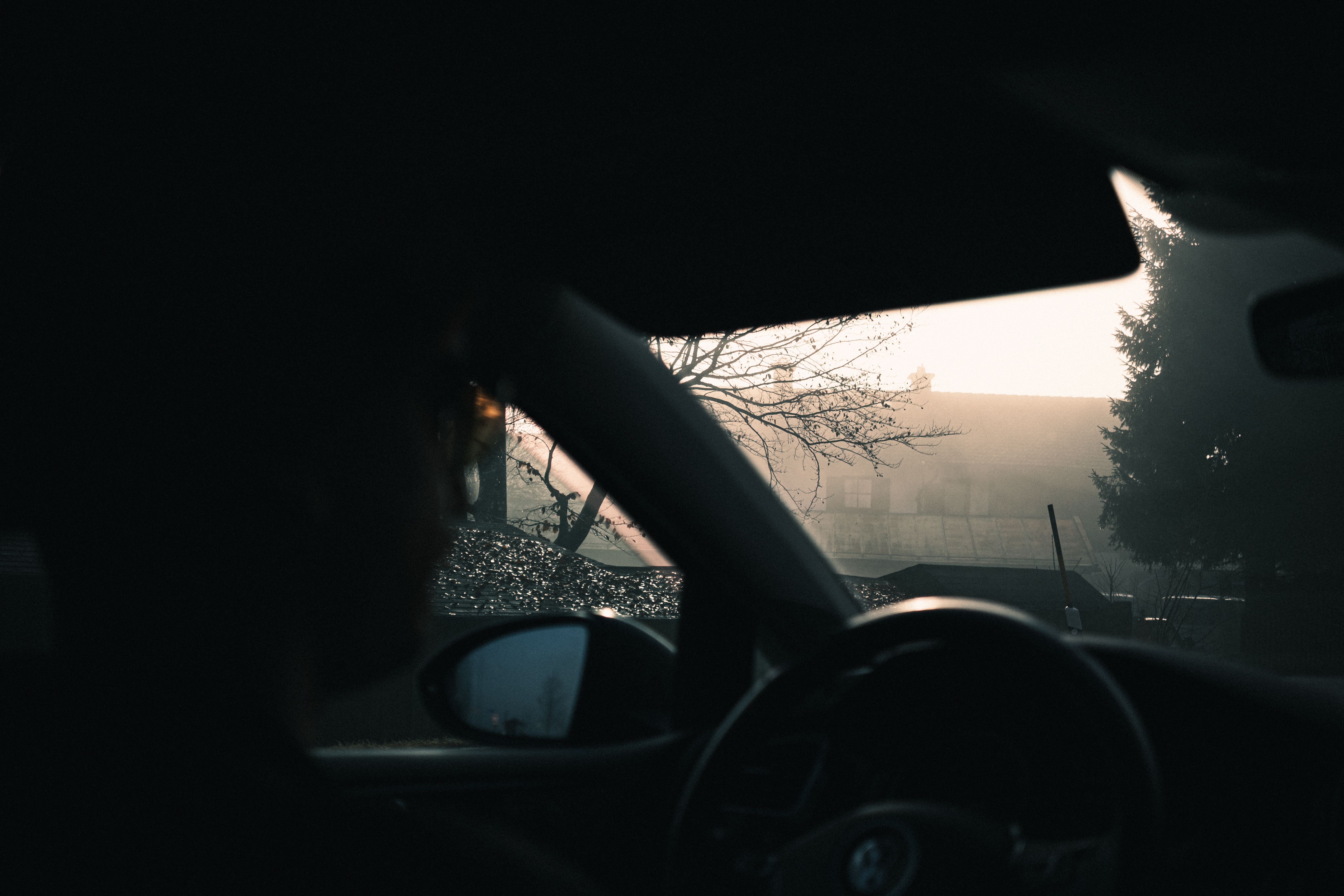 Trees in a Fog from the Inside of a Car · Free Stock Photo