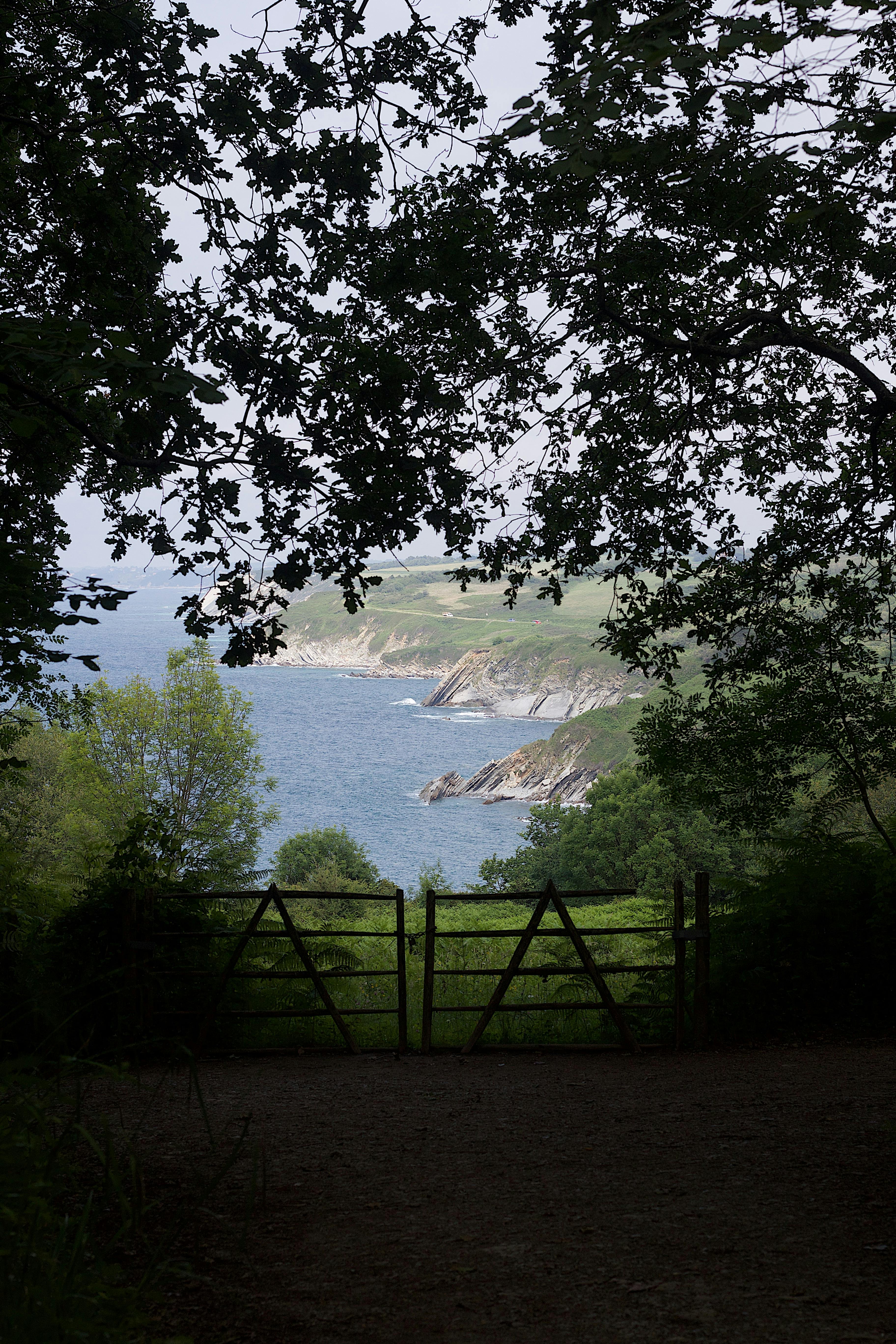 Wooden Gate Leading towards Sea Shore · Free Stock Photo