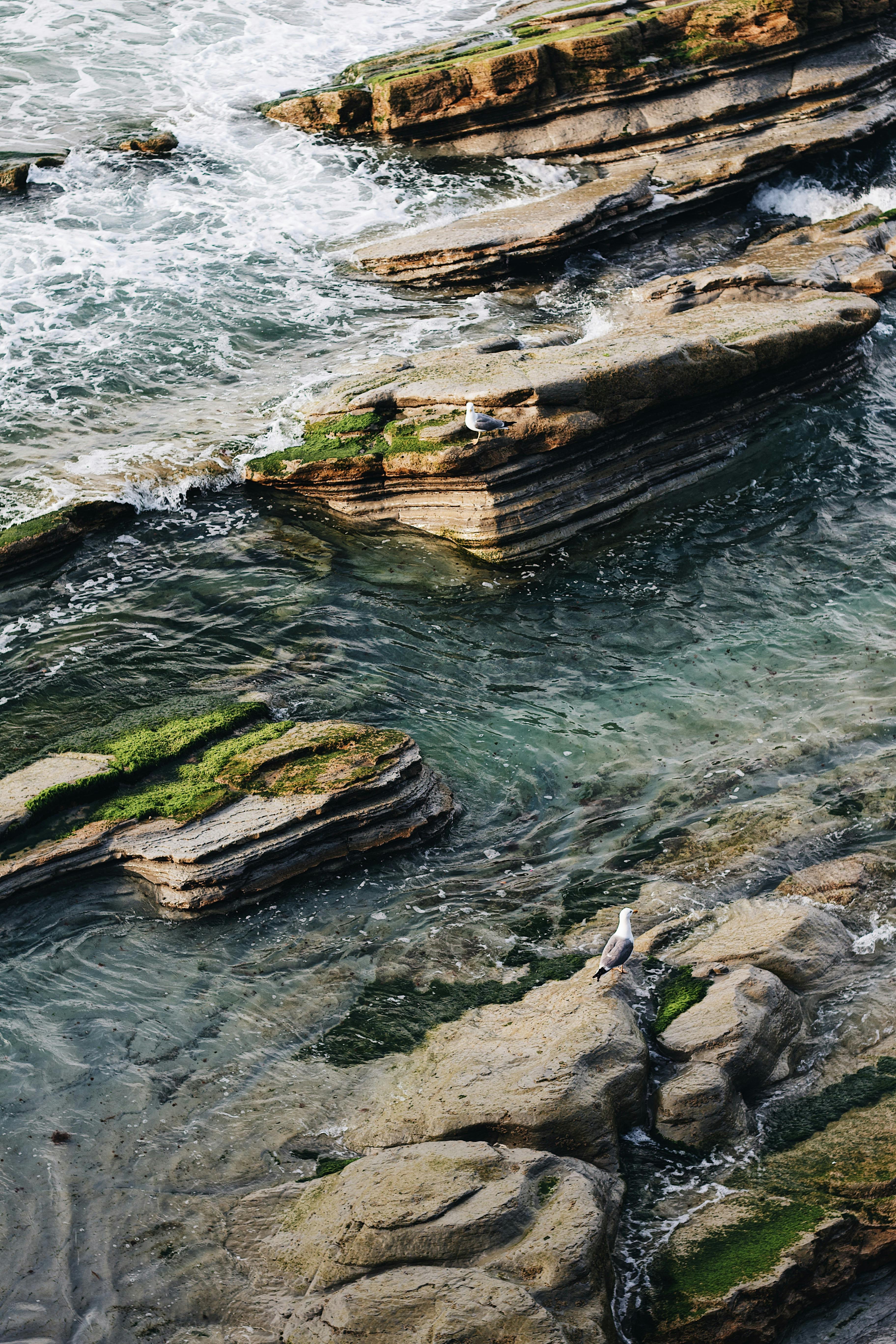Rock Skerries on River · Free Stock Photo