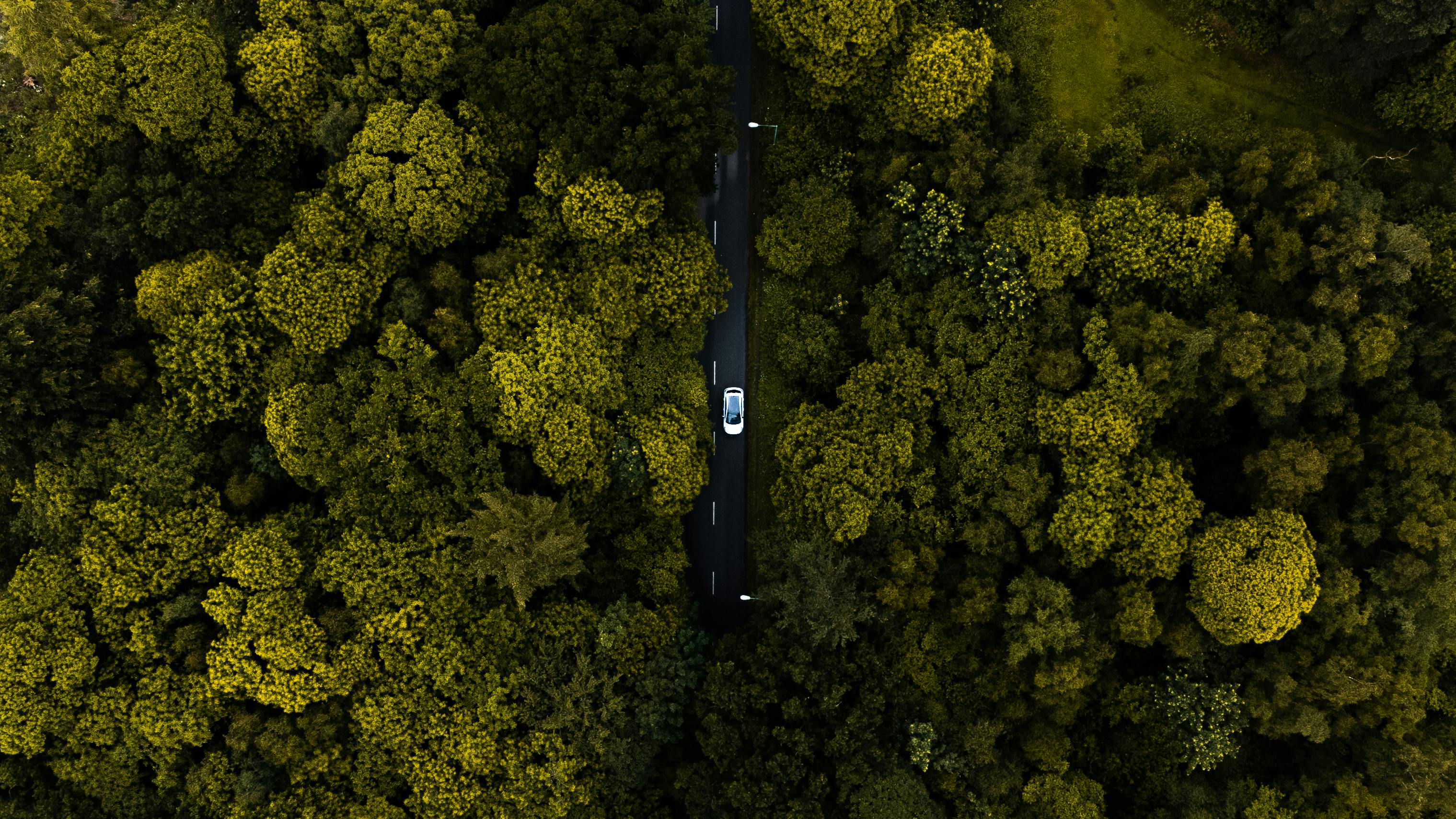 Birds Eye View of a Road Across the Forest · Free Stock Photo