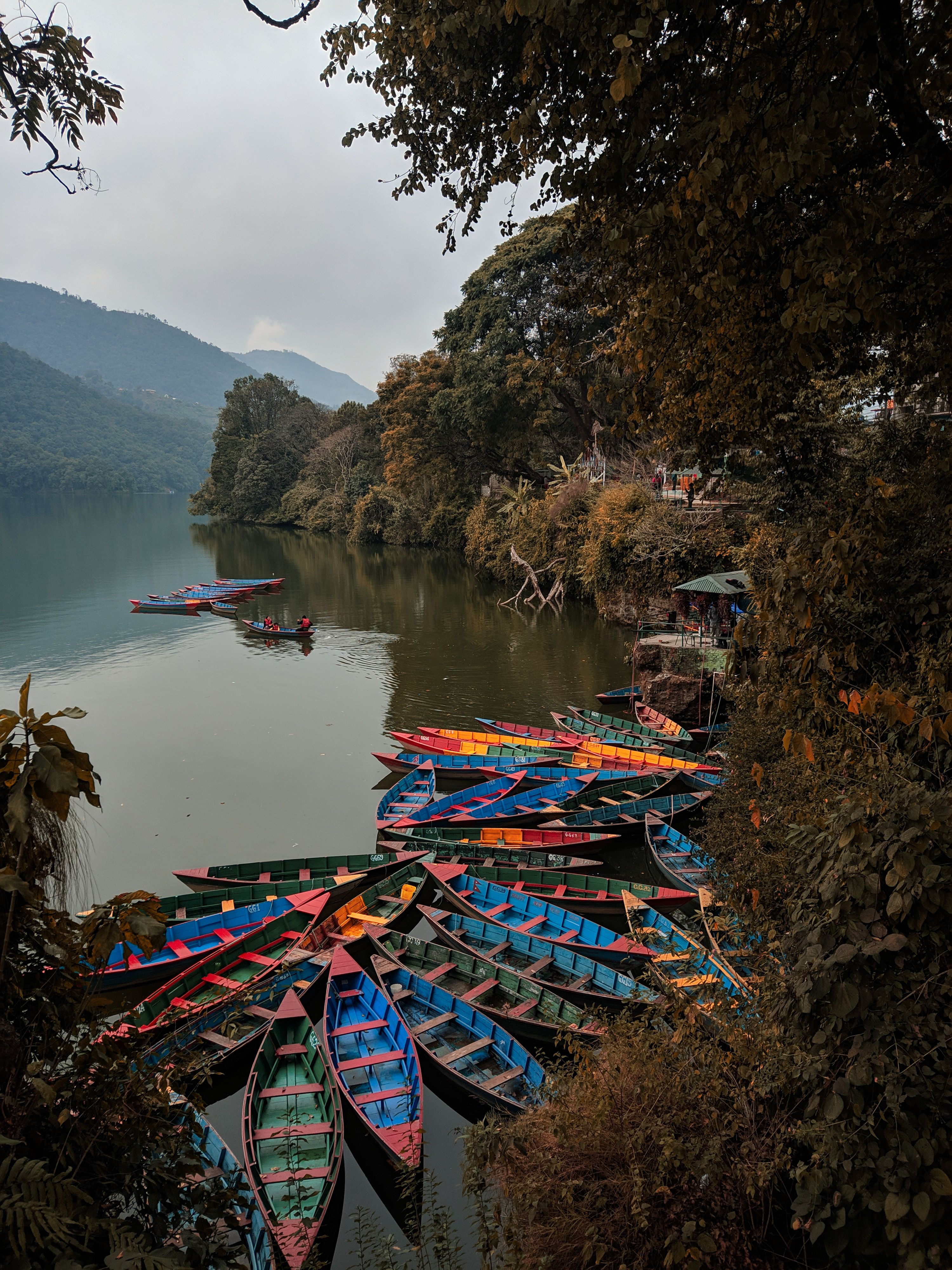 Colorful Boats docked on Riverside · Free Stock Photo