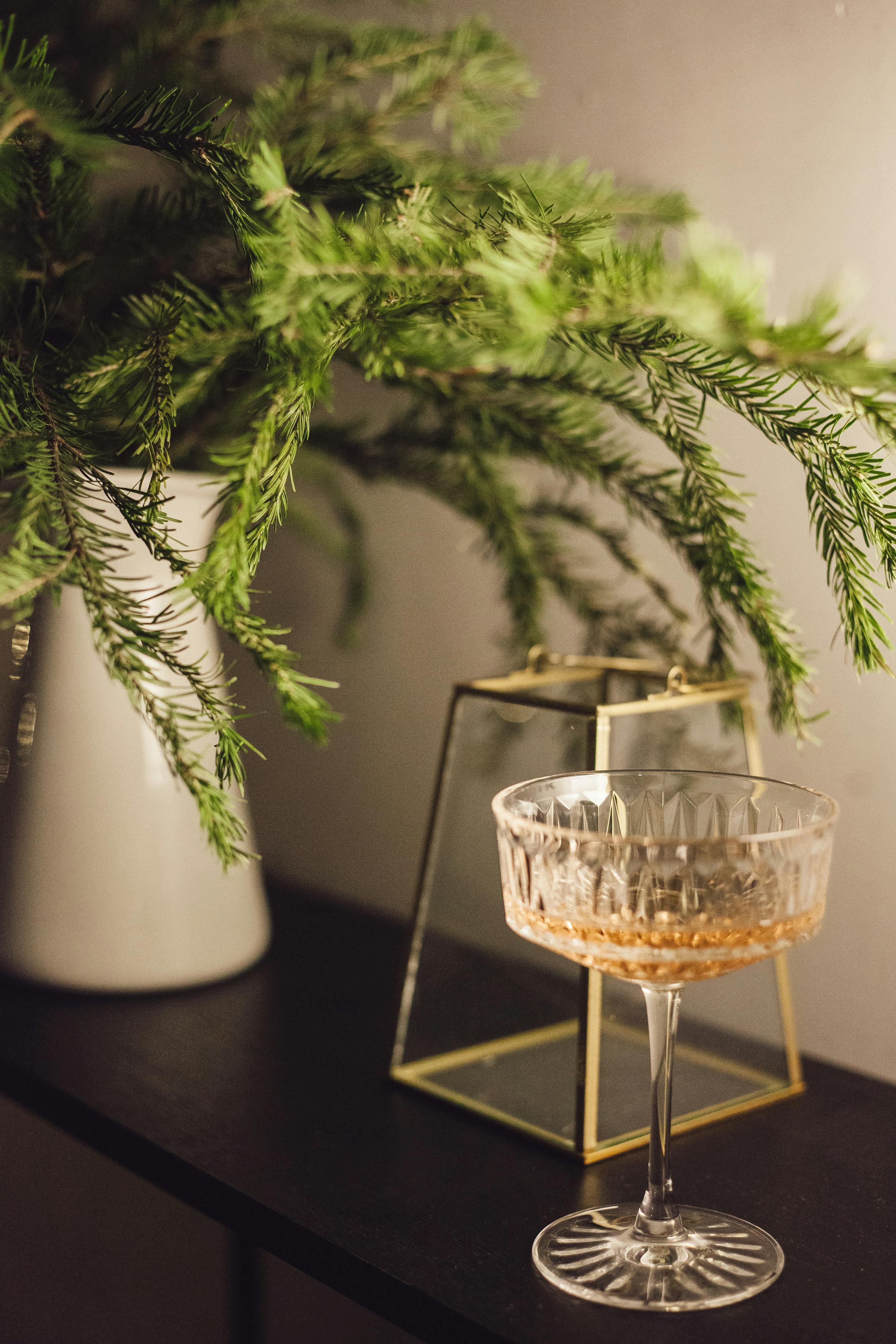 Glass, Box and Plant · Free Stock Photo