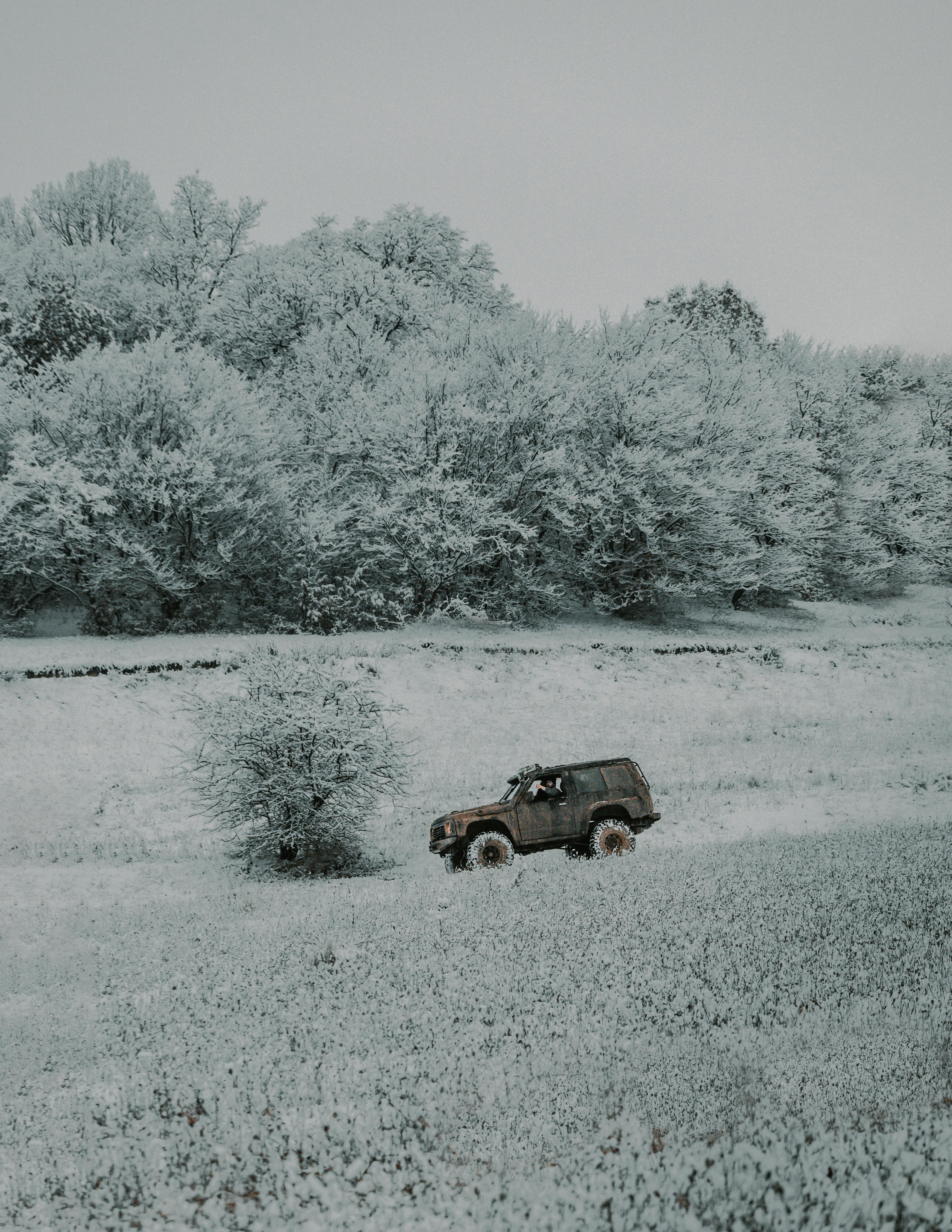Jeep in Snow near Trees · Free Stock Photo