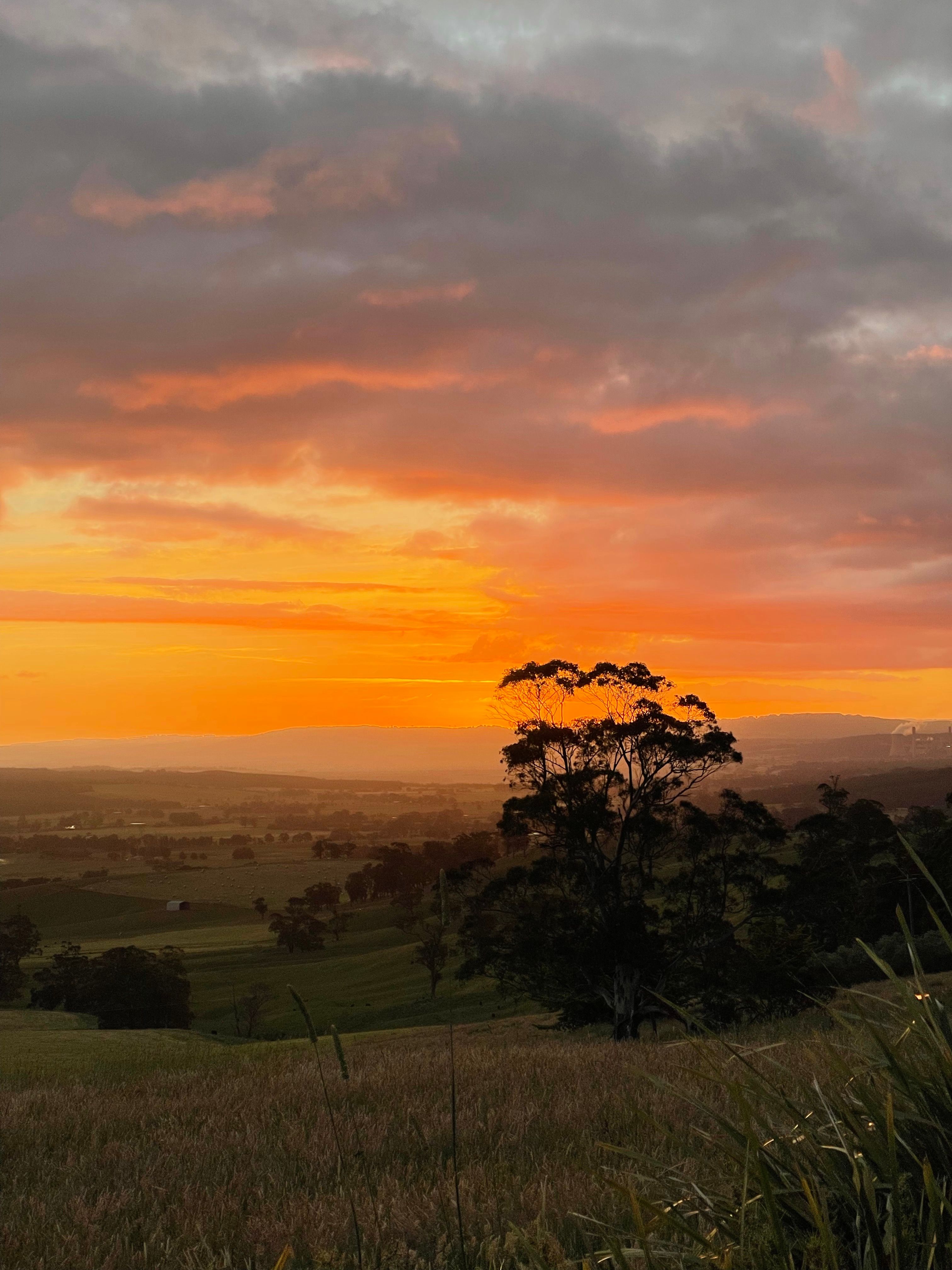 Traralgon Photos, Download The BEST Free Traralgon Stock Photos & HD Images