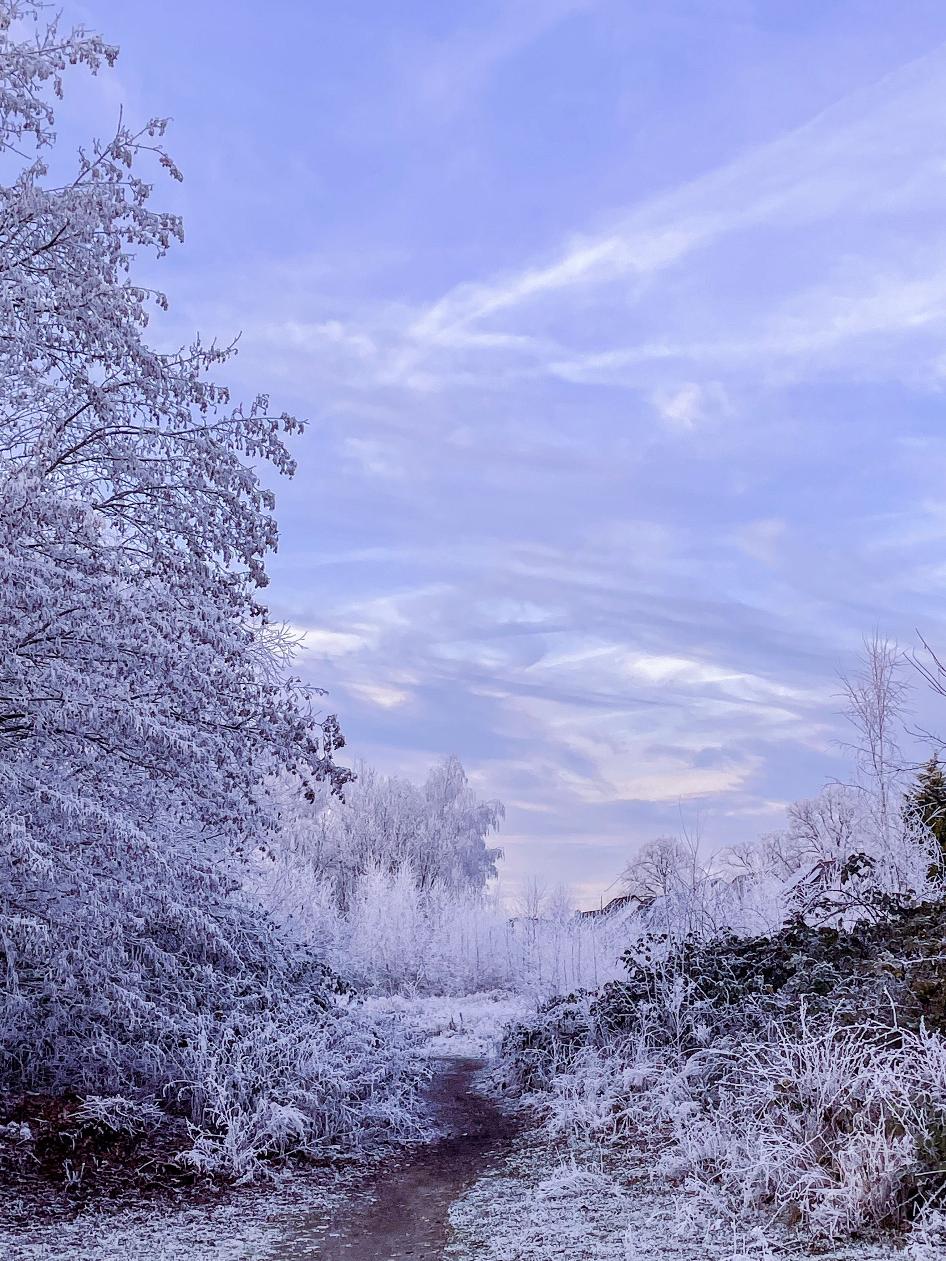 Sehr Kalt Photos, Download The BEST Free Sehr Kalt Stock Photos & HD Images
