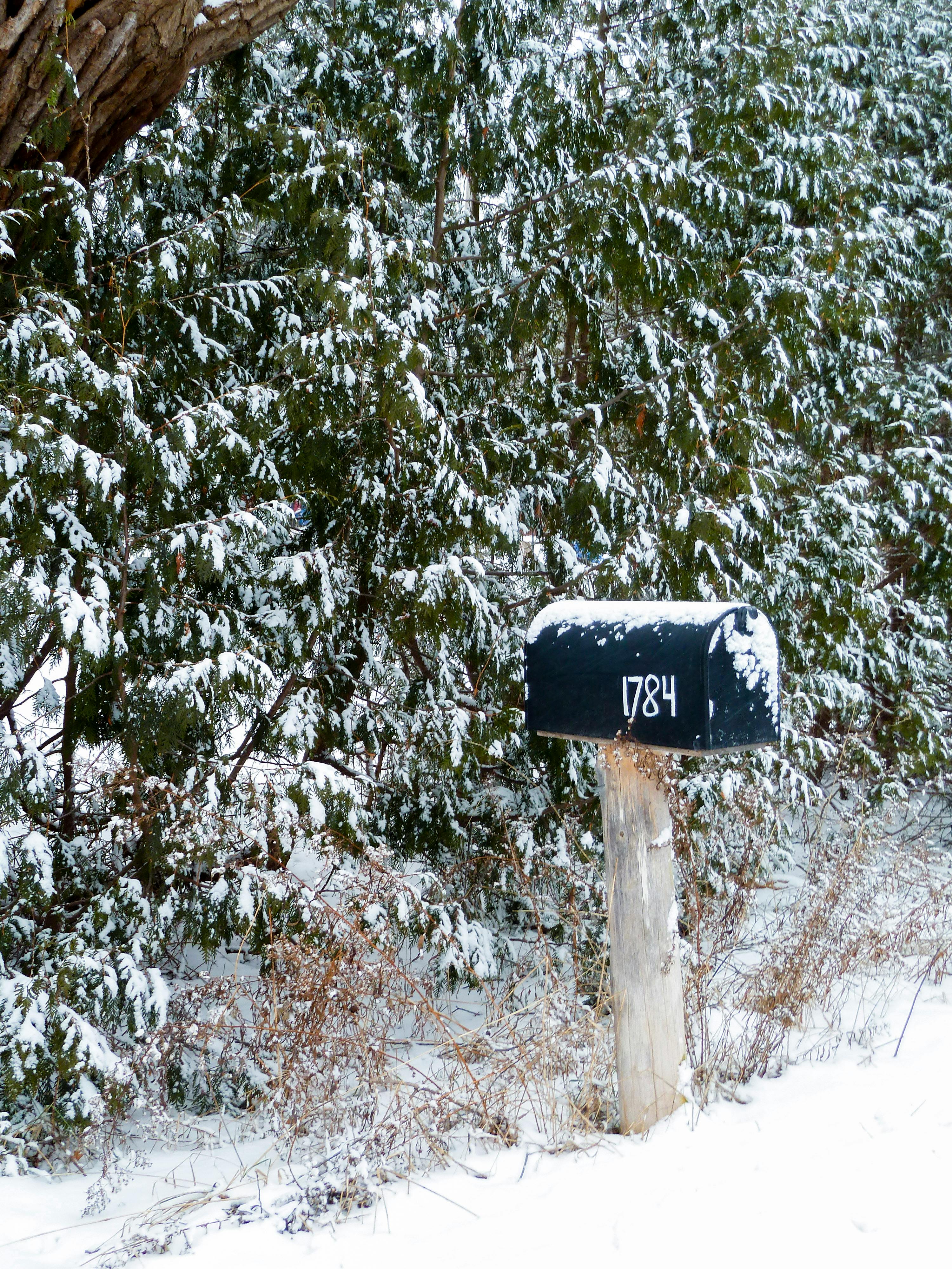 A Mailbox During Winter · Free Stock Photo