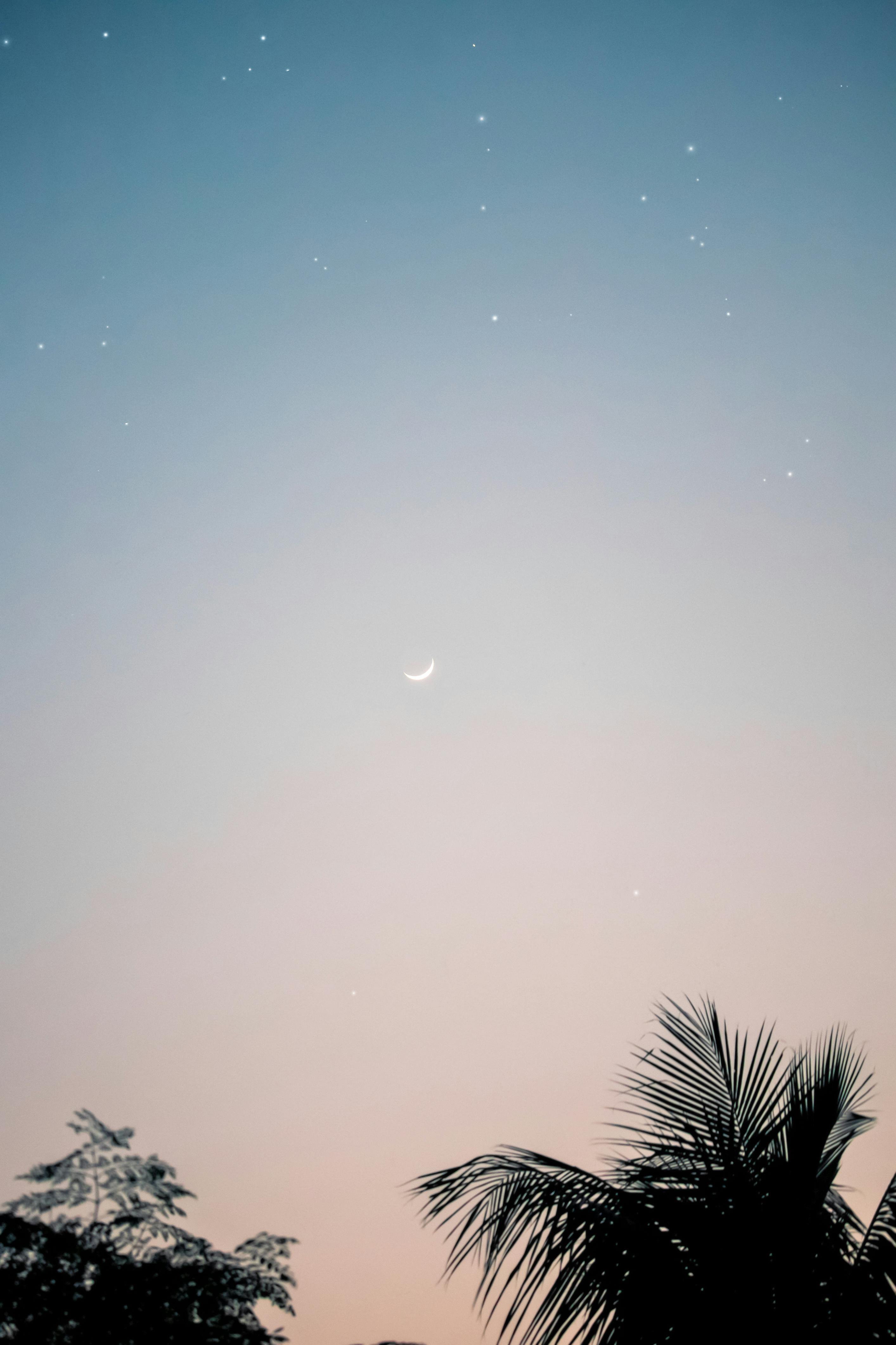 Sickle Moon Photos, Download Free Sickle Moon Stock Photos & HD Images