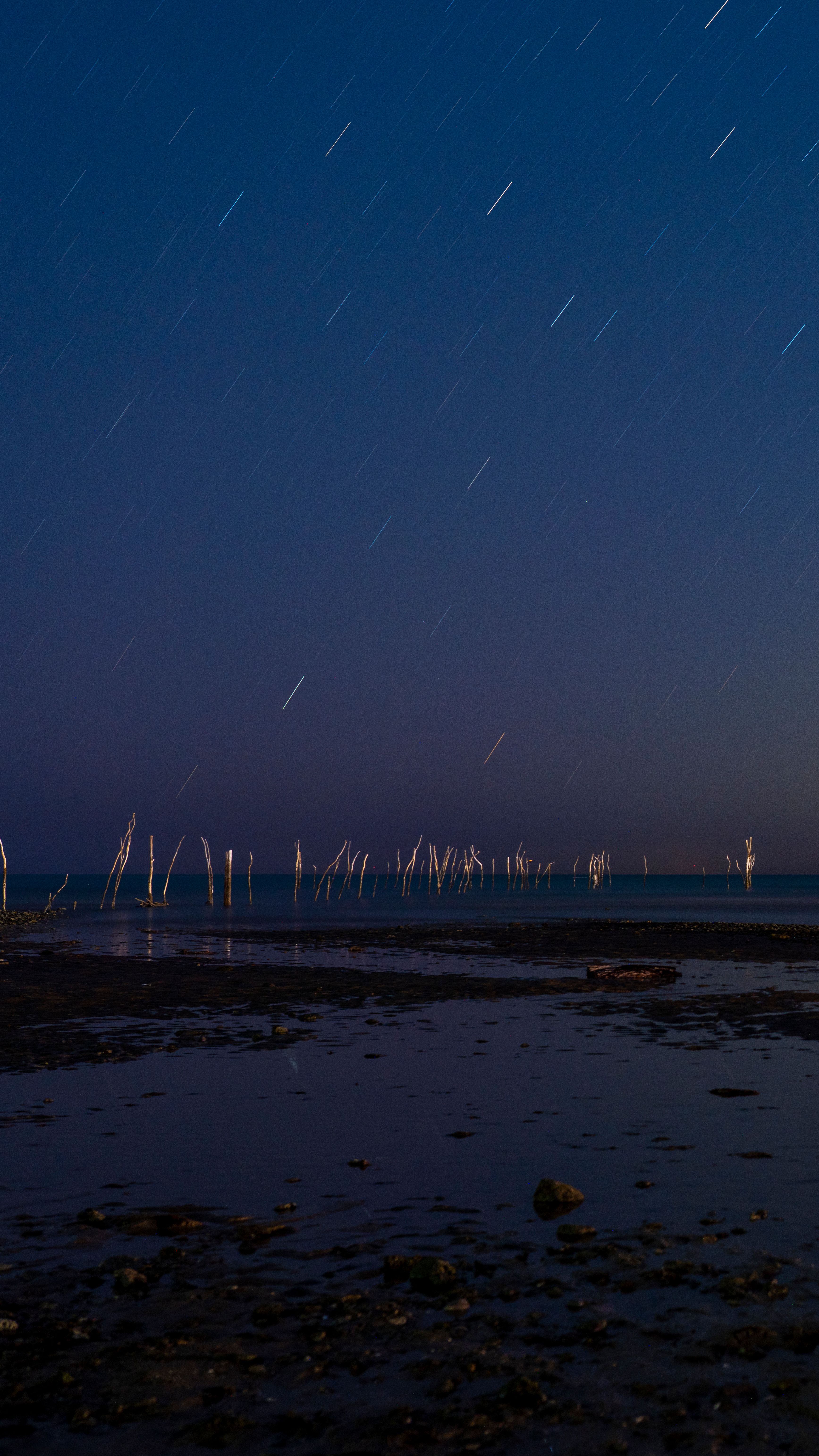 View of Shooting Stars over a Body of Water at Night · Free Stock Photo